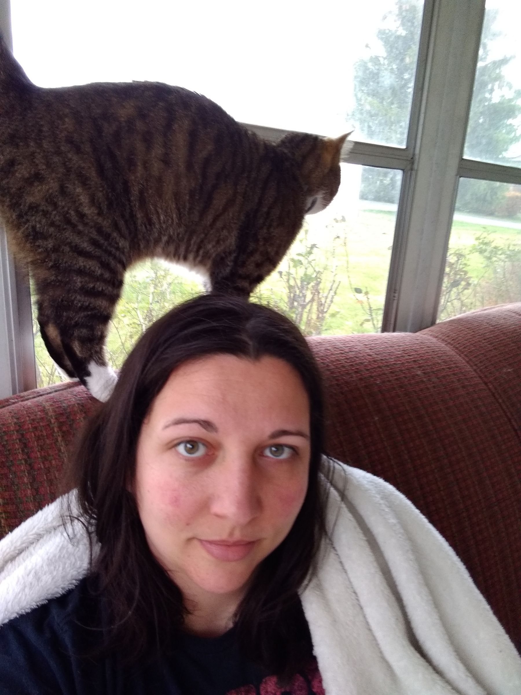 How To: Lull Your Cat to Sleep : 14 Steps (with Pictures) - Instructables