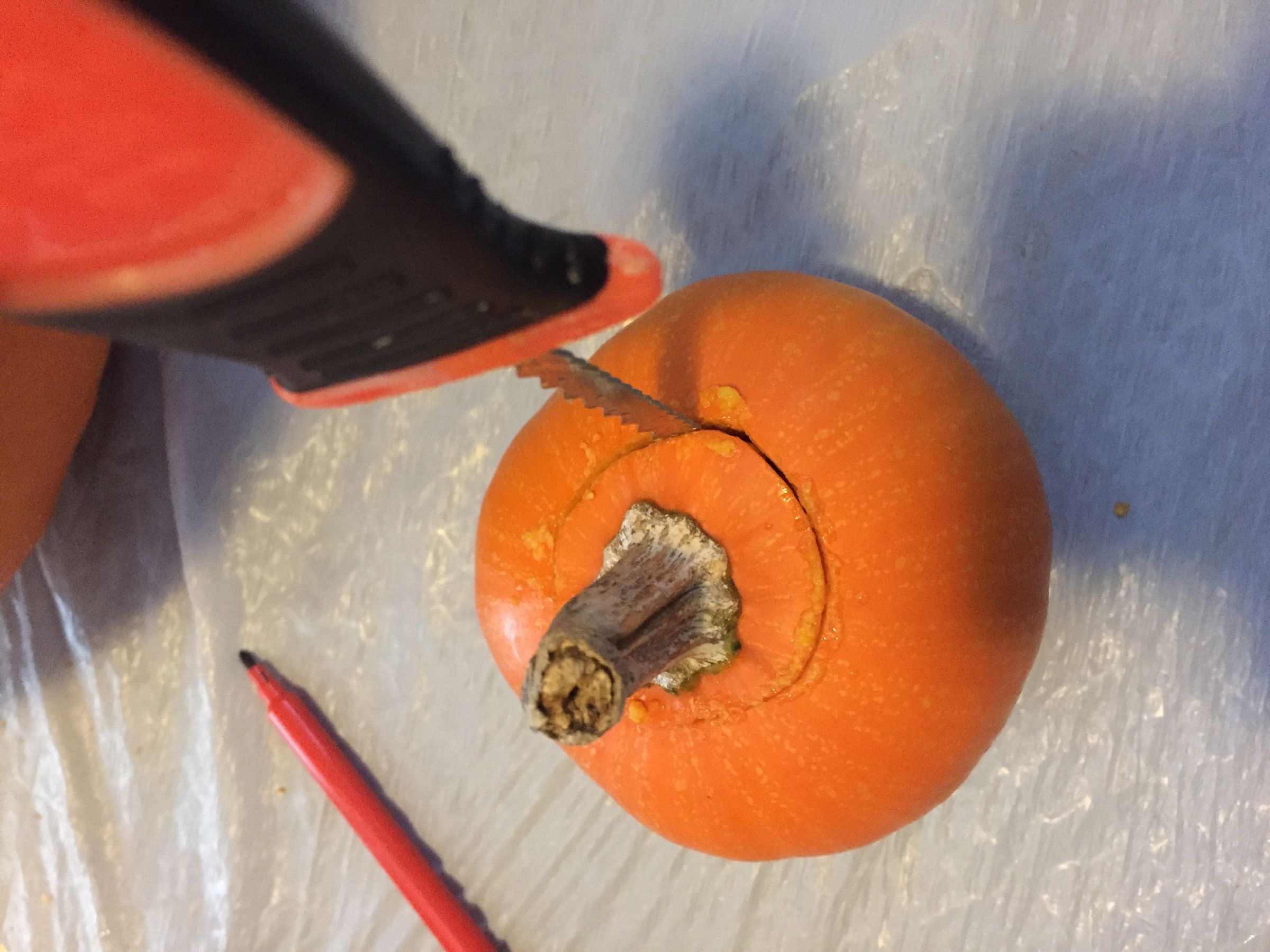 The Cannibalistic Pumpkin : 6 Steps (with Pictures) - Instructables