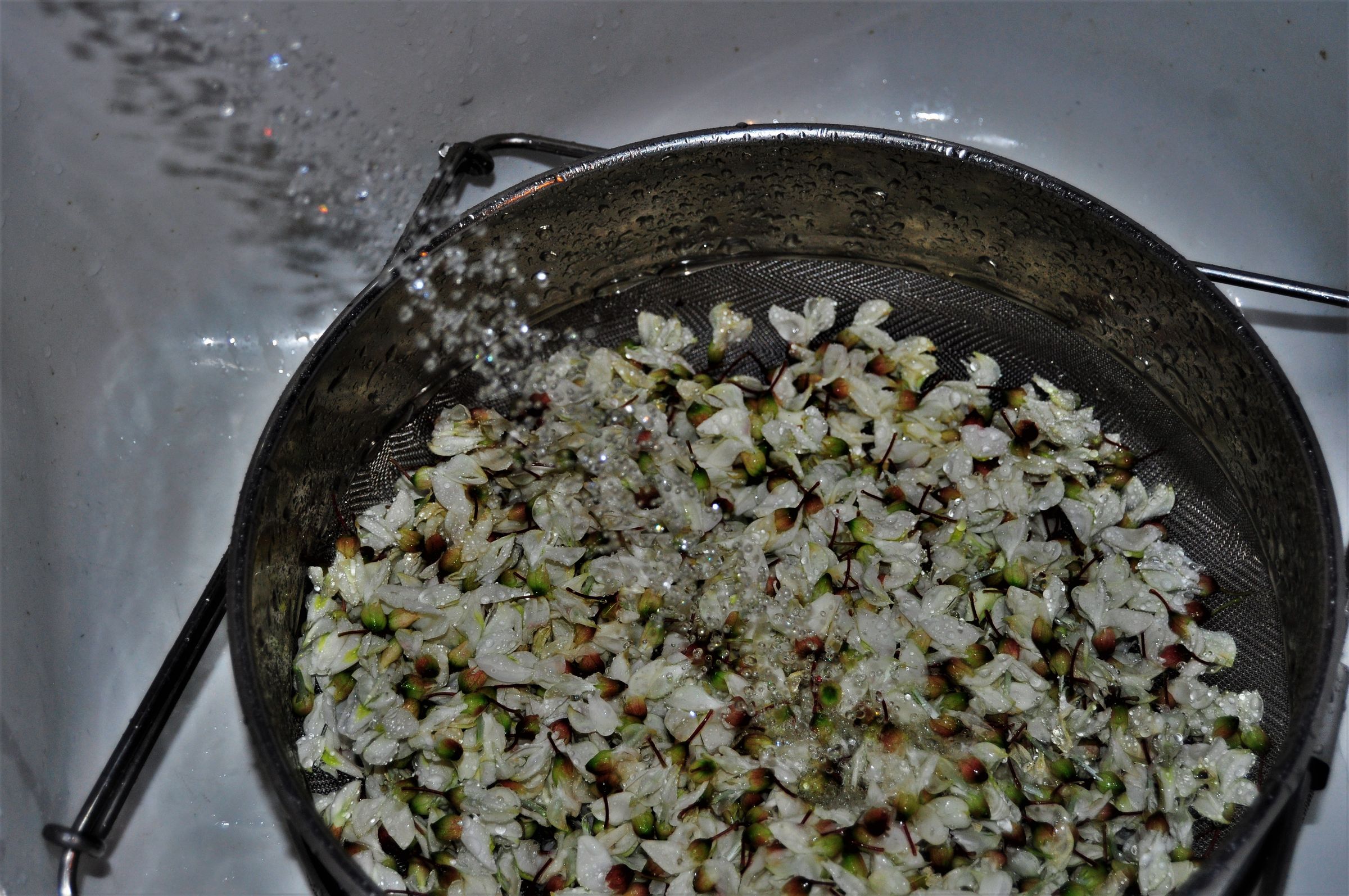 Black Locust Flower Cold Brew Tea : 4 Steps (with Pictures) - Instructables