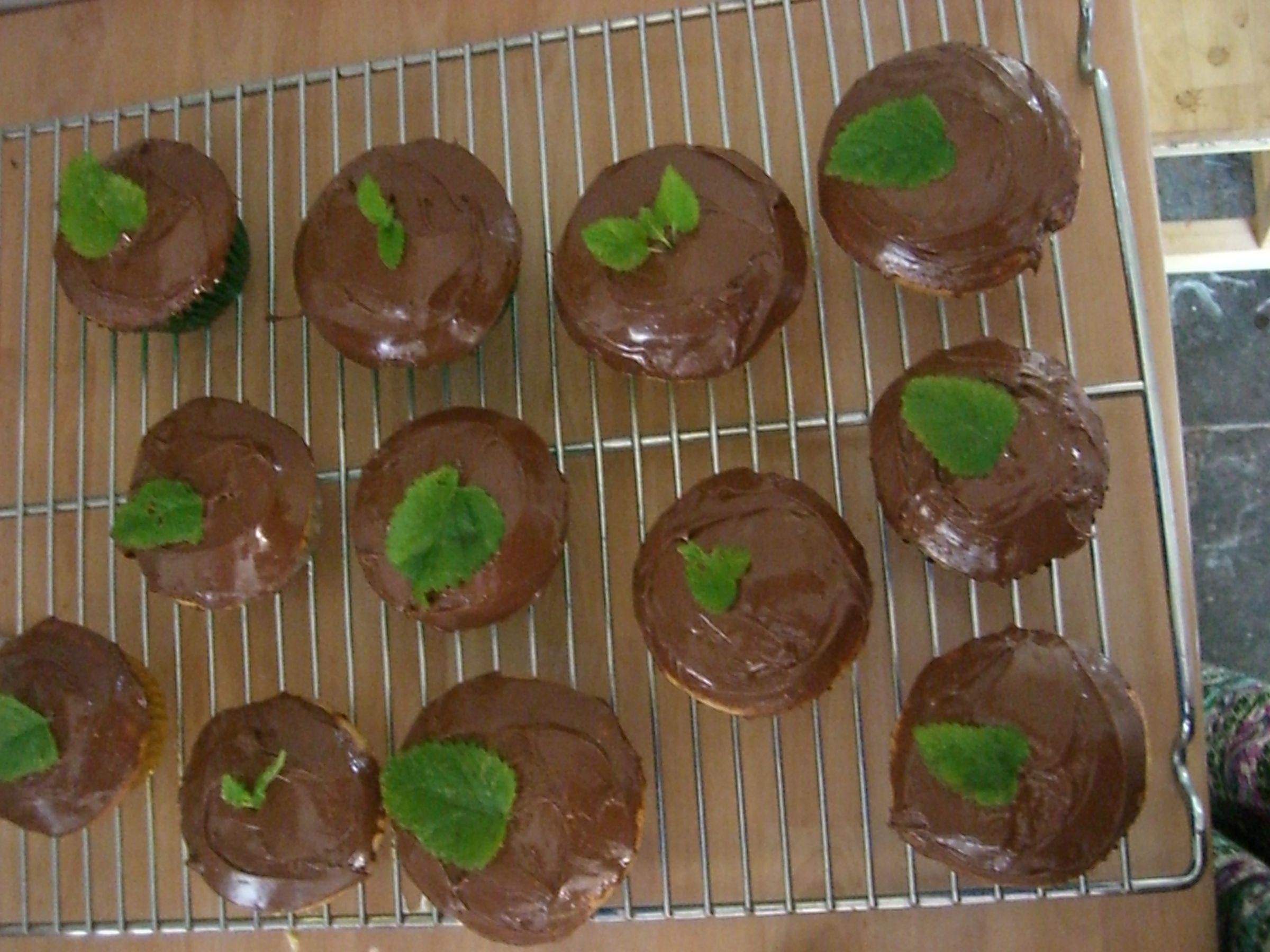 Mint Chocolate Chip Cupcakes With Nutella Topping - Instructables