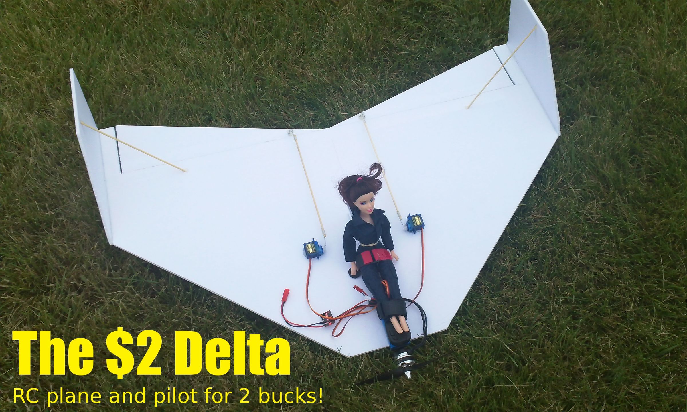 The $2 Delta - RC Plane and Pilot for 2 Bucks! (with Pictures ...