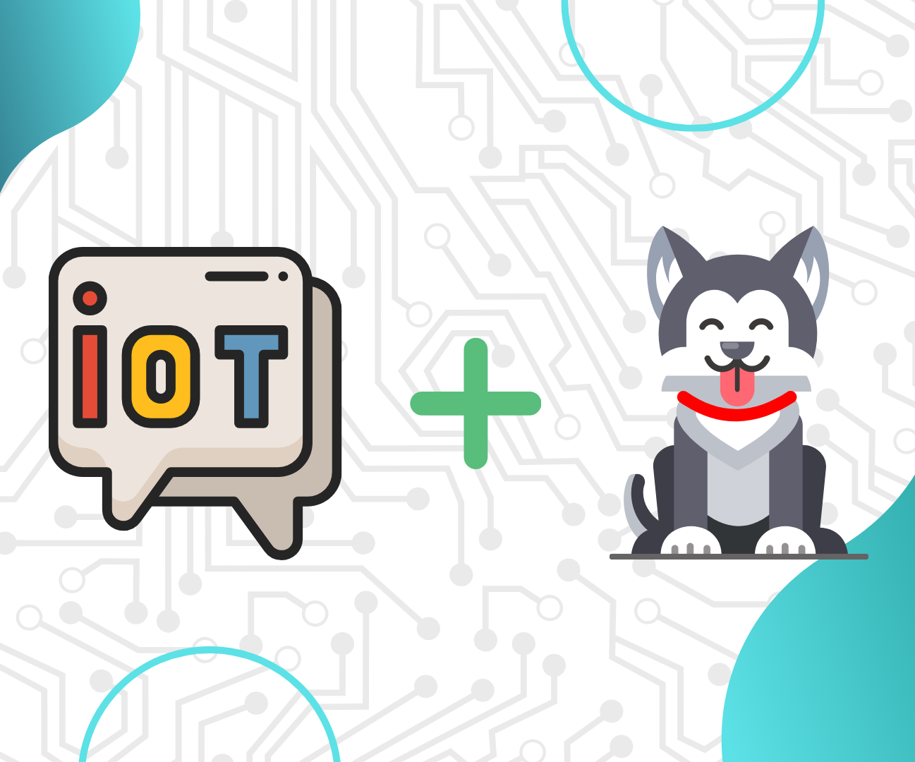 IoT Automatic Dog Feeder for Beginners : 6 Steps - Instructables