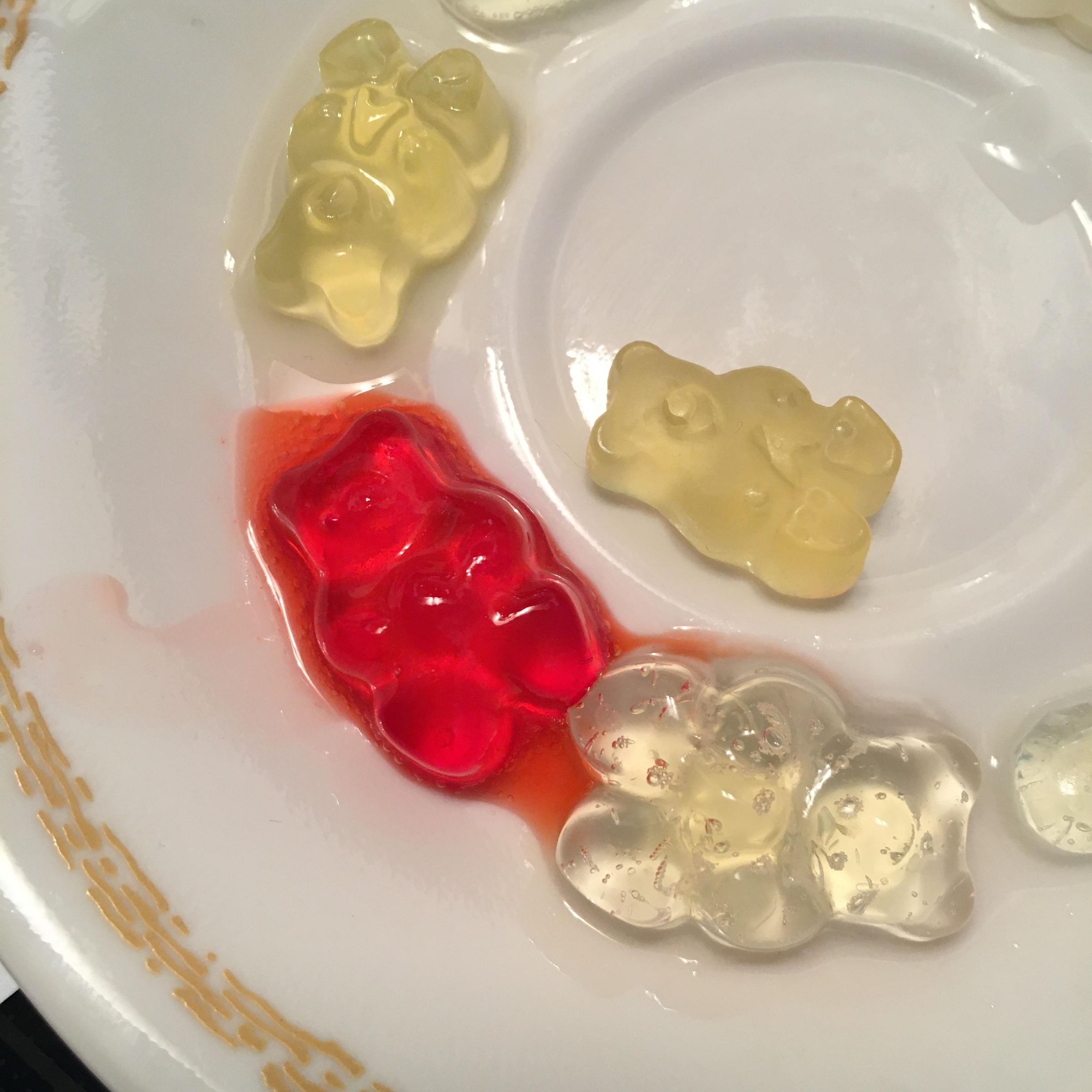 Gummi Bear Science : 7 Steps (with Pictures) - Instructables