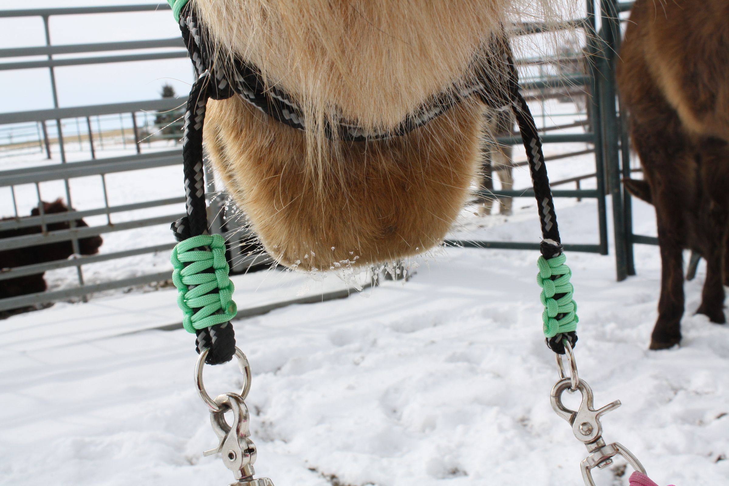 Rope and Paracord Bosal or Indian Side Pull : 10 Steps - Instructables