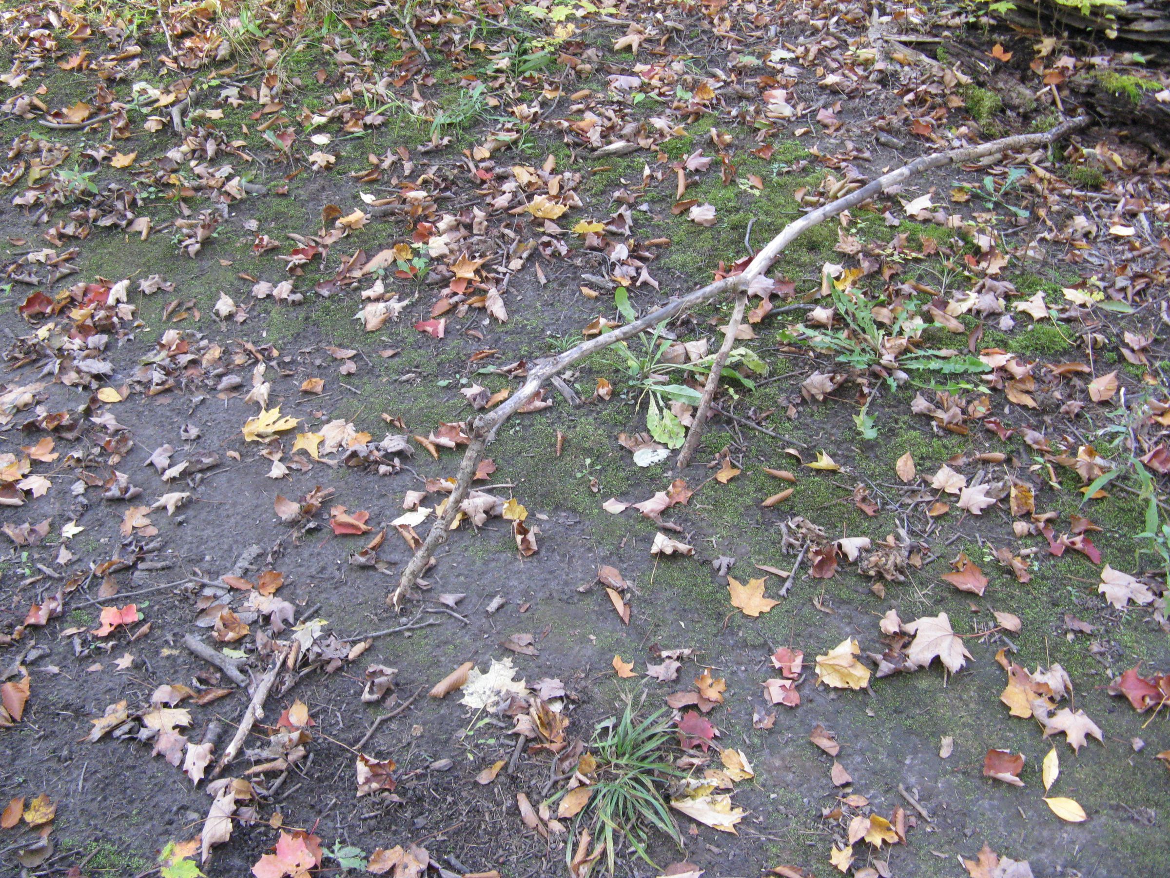 Snaring : 9 Steps (with Pictures) - Instructables