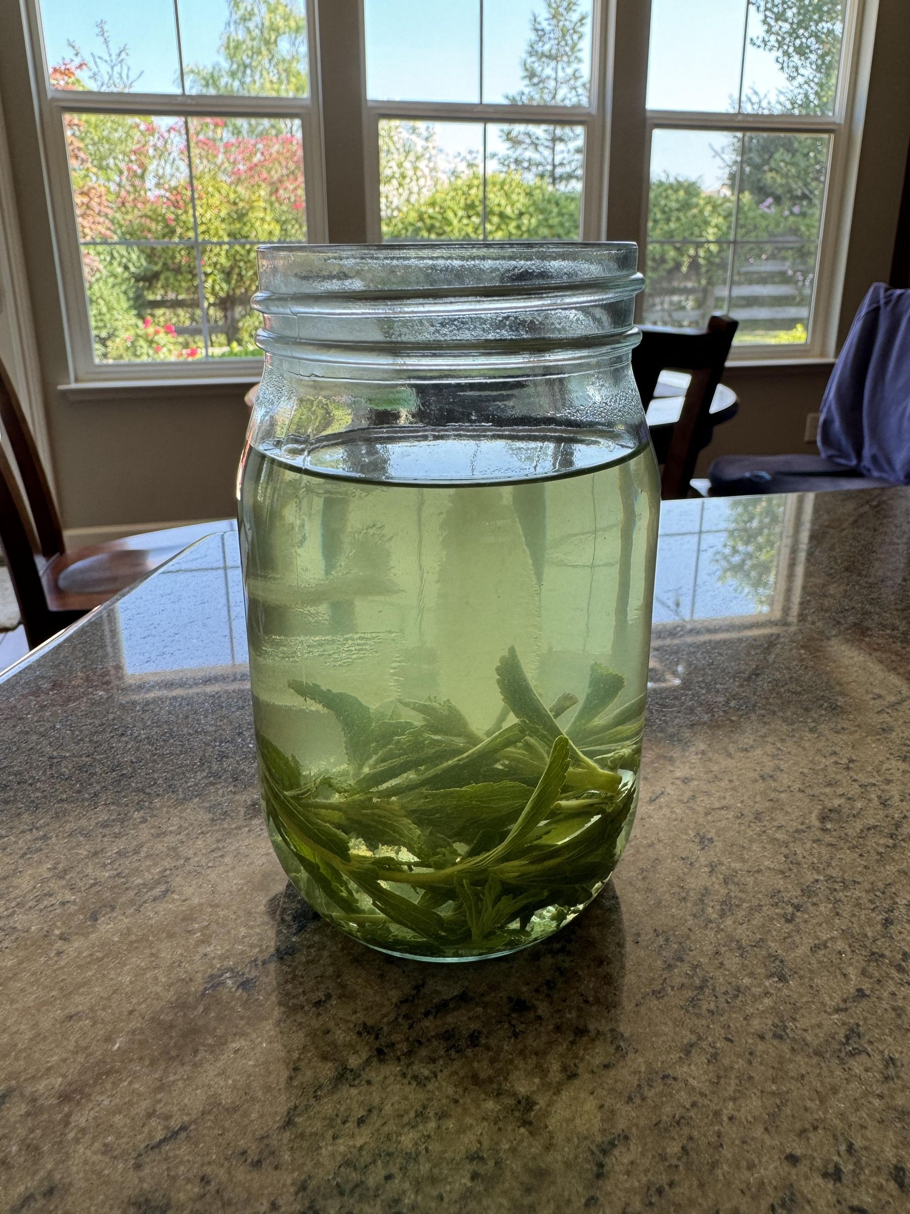 Amazing Sweet Leaf Herb - 100% Natural & Healthy Zero Calorie Sweetener ...