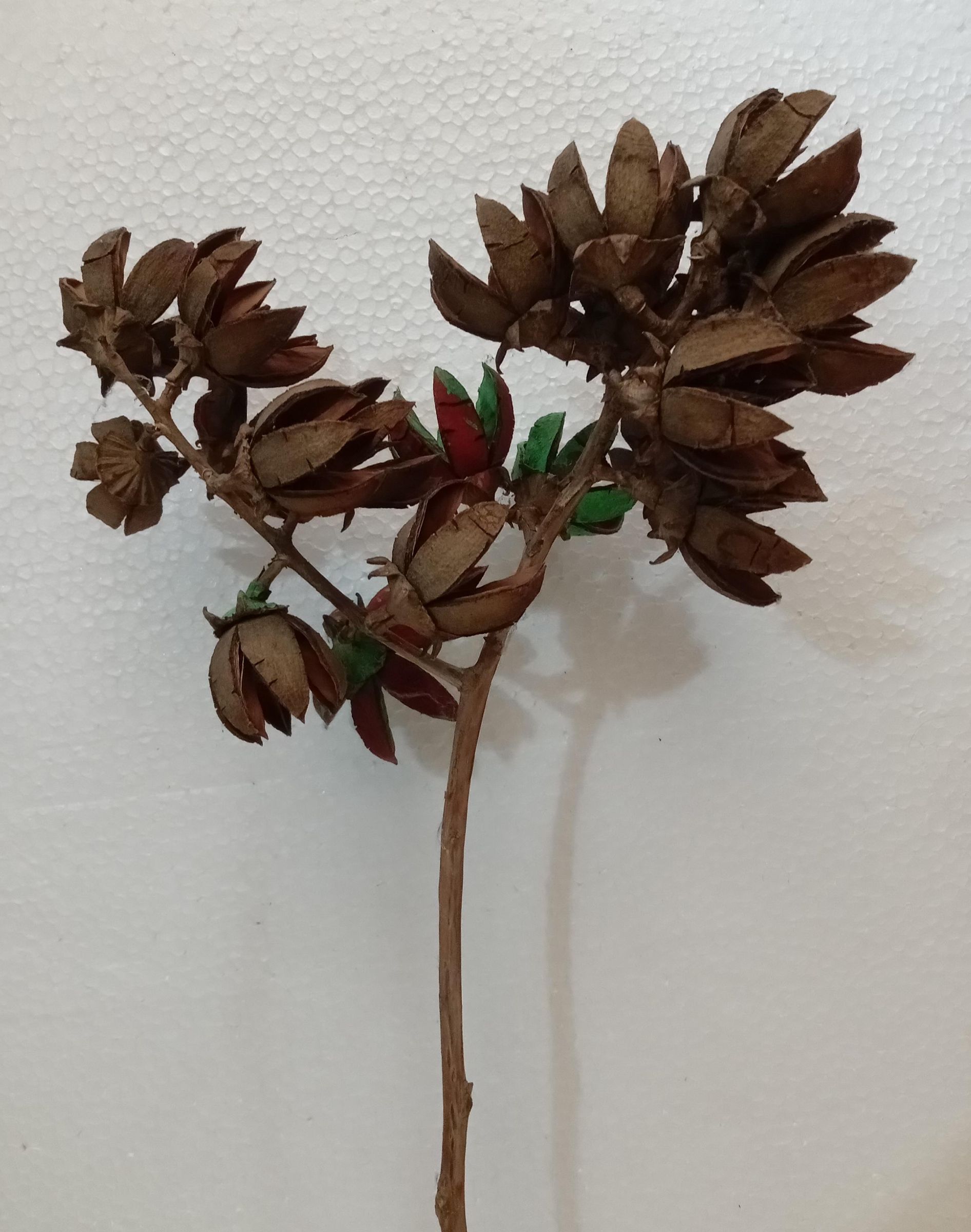 Flower Bouquet From Tamhan Fruits. : 6 Steps (with Pictures ...