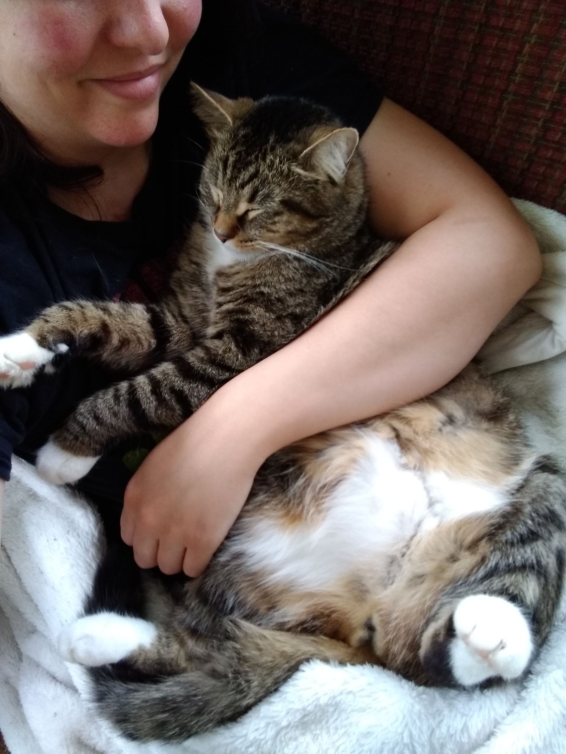 How To: Lull Your Cat to Sleep : 14 Steps (with Pictures) - Instructables