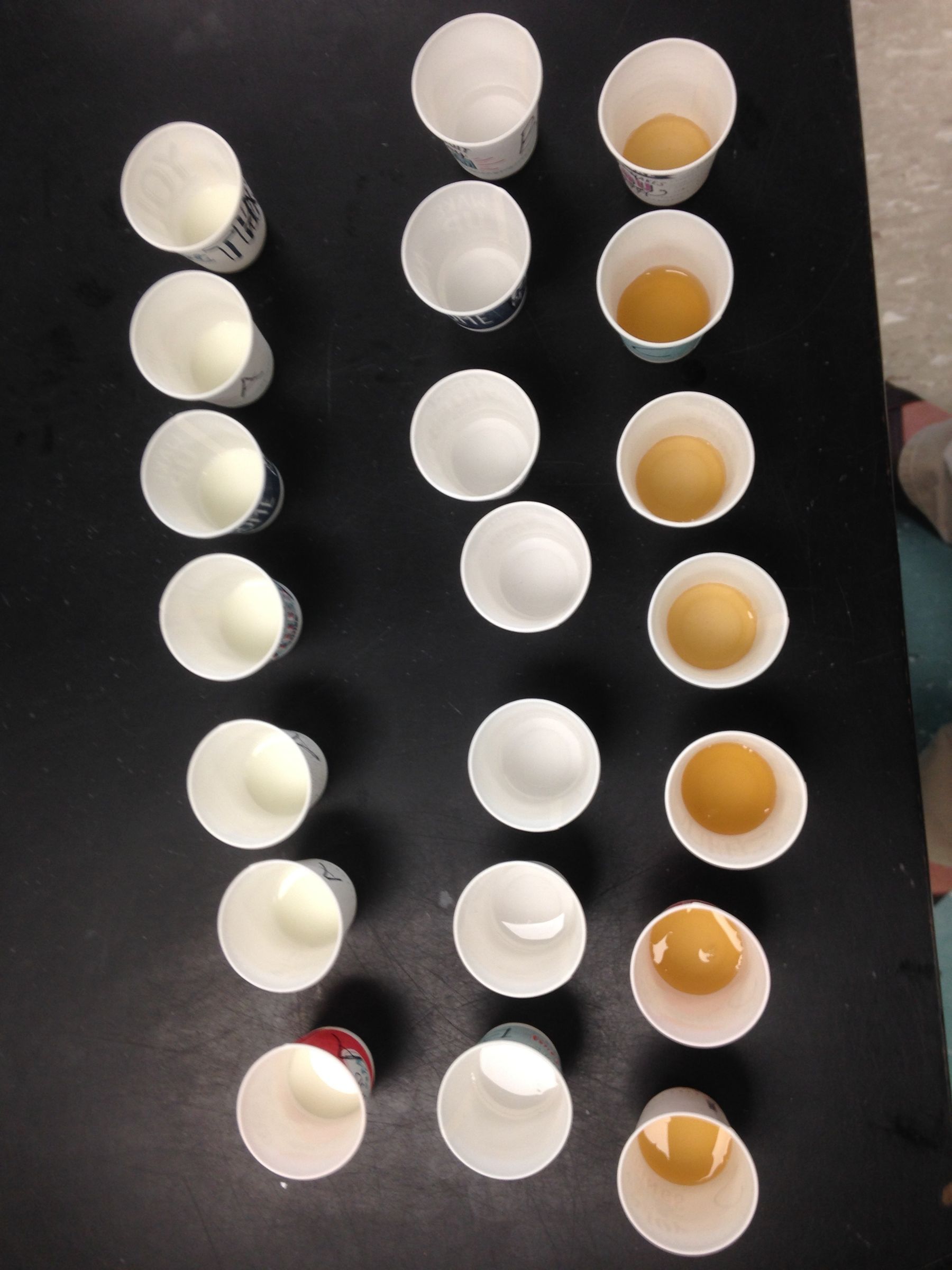 Invisible Ink Lab - True Experimentation for the Start of the School ...