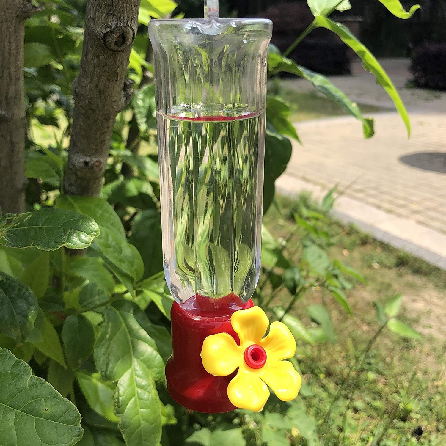 6 Pack Hummingbird Feeder Filler : 6 Steps - Instructables