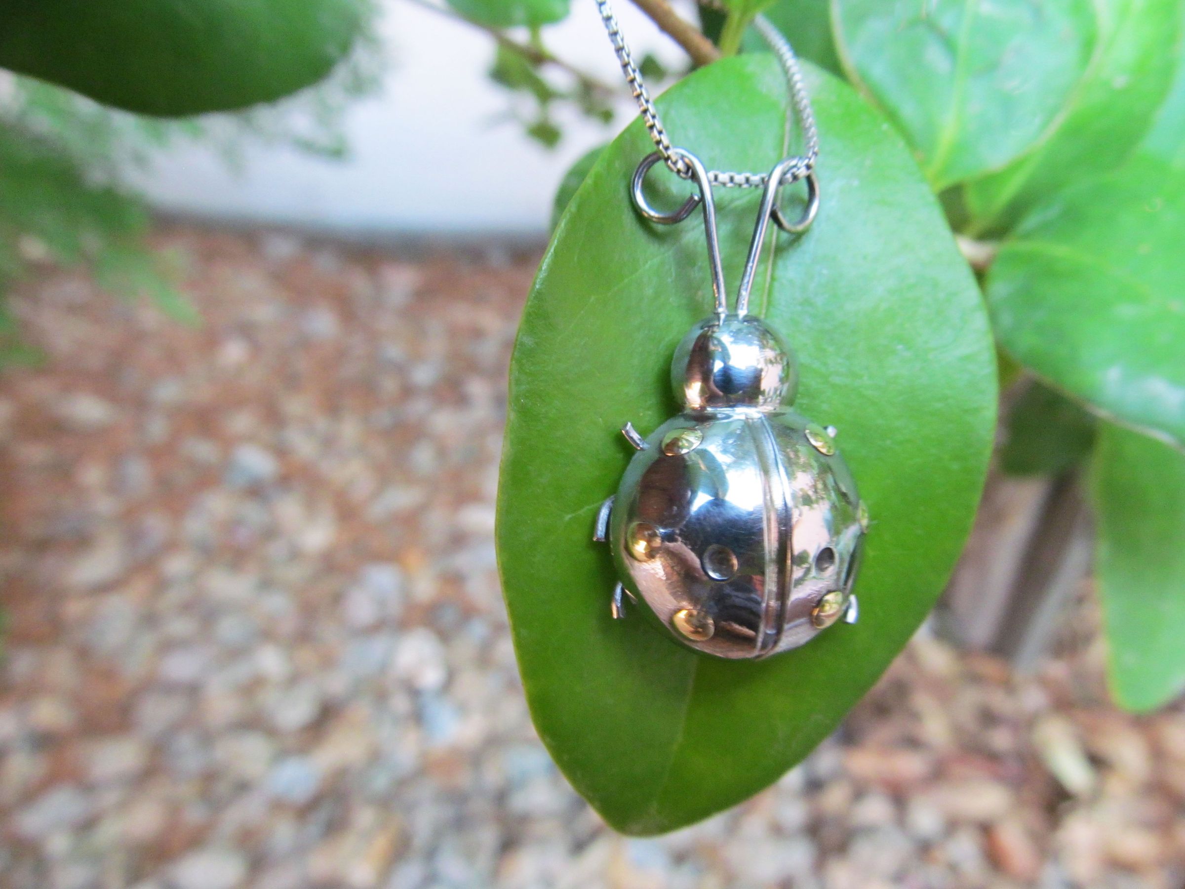 Ladybug Pendant : 5 Steps (with Pictures) - Instructables