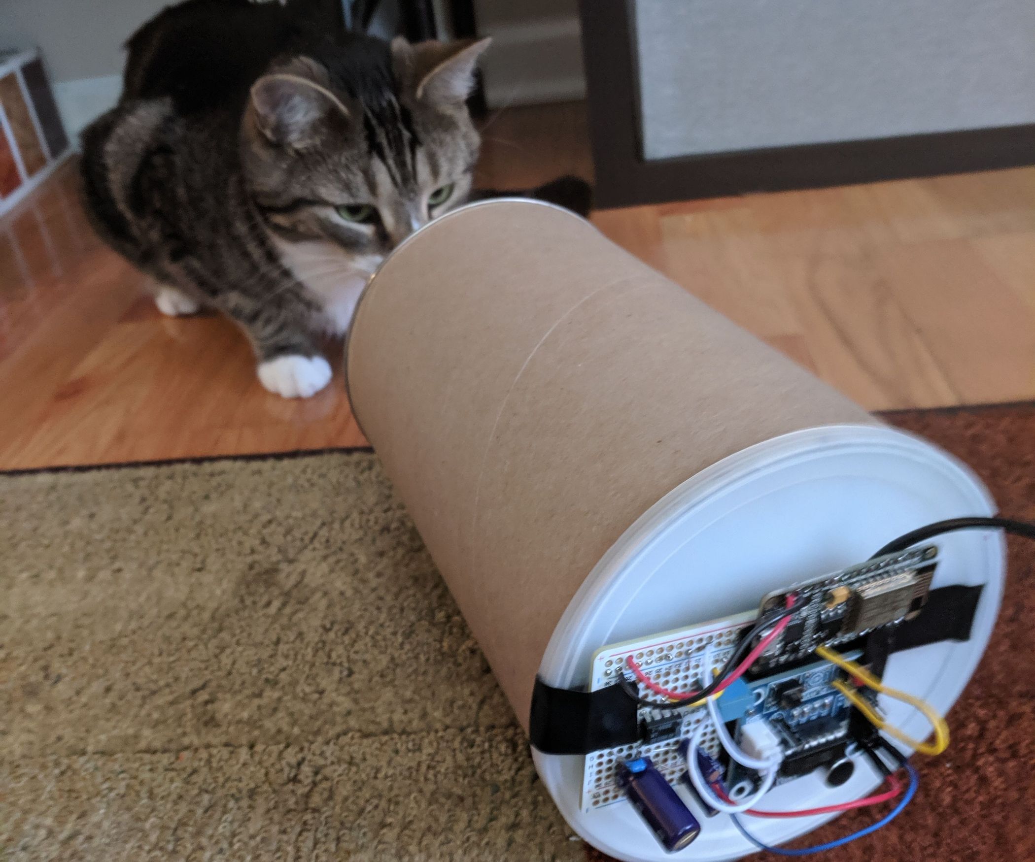 Modular Chirping Nest Toy for Cats : 7 Steps (with Pictures) - Instructables