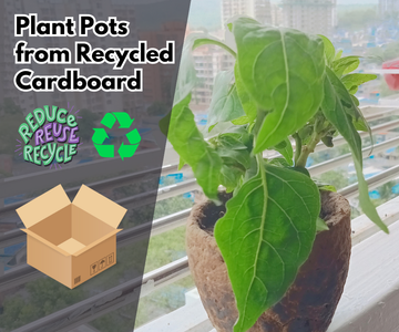 Cardboard to Plant Pots by Recycling Waste Paper Into Environment ...