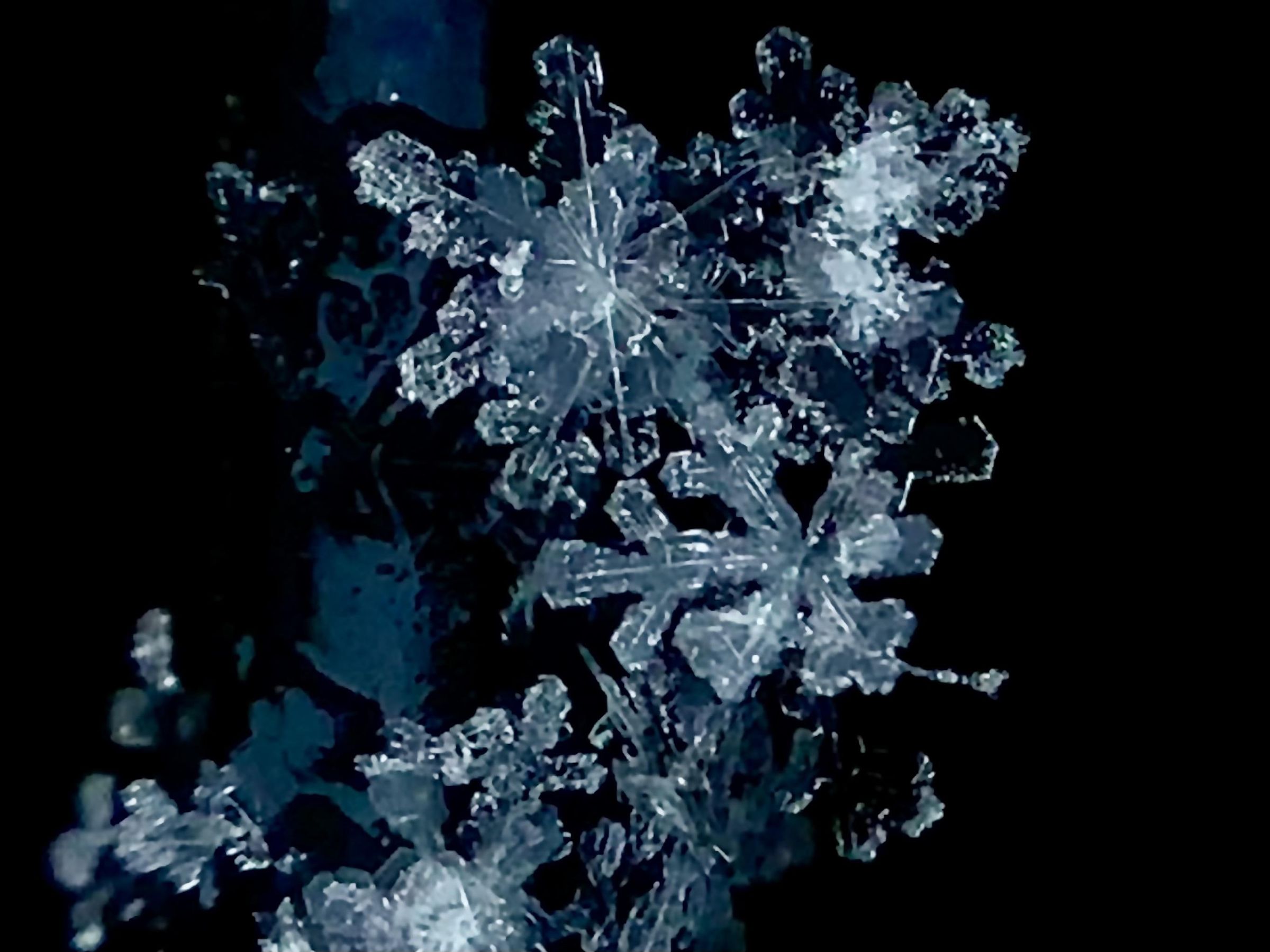 Ice Photography: Mind-blowing Macro : 14 Steps (with Pictures ...