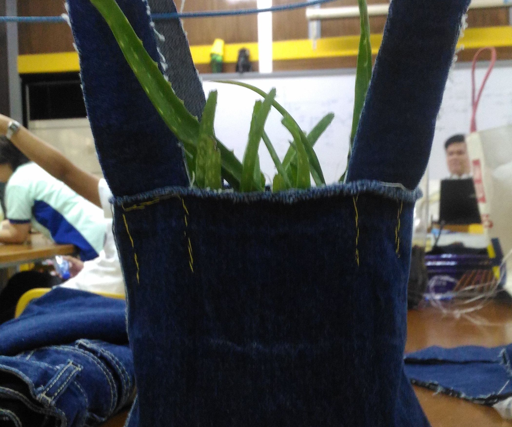 Plants in Pants : 3 Steps (with Pictures) - Instructables