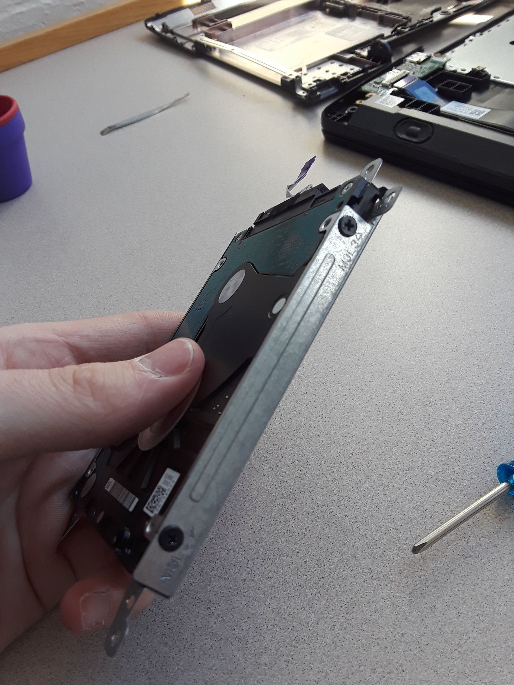 How to Access a Dell Inspiron 15 3000 Series Hard Drive : 10 Steps ...