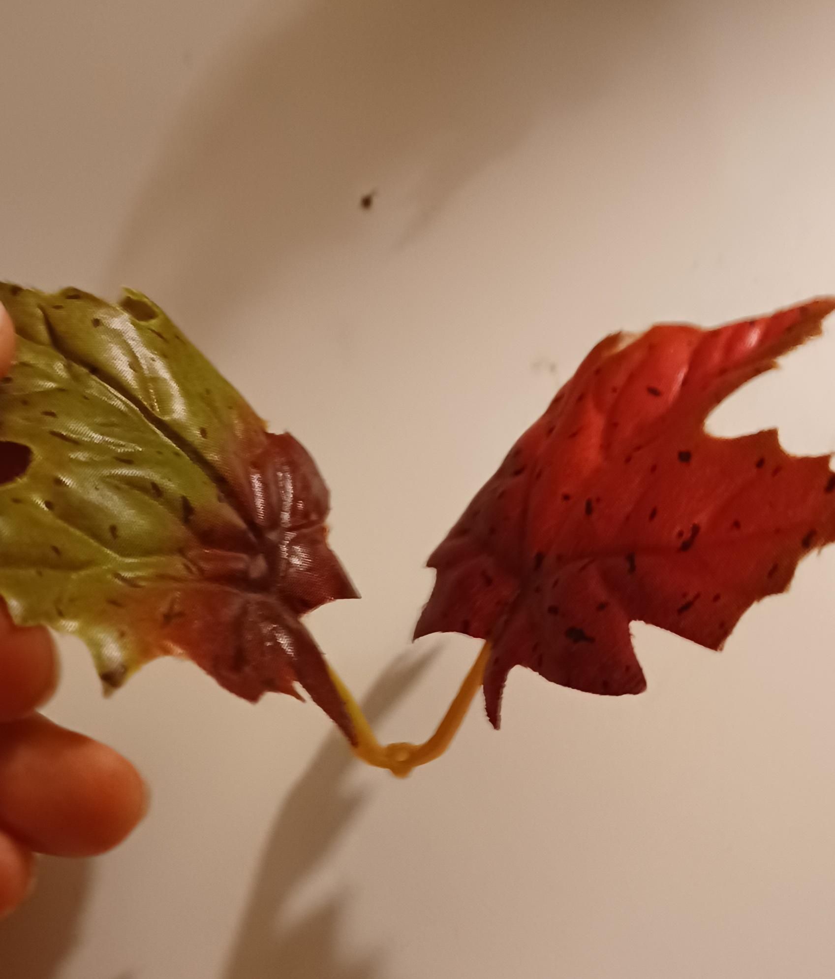 Fall Leaf Lantern : 8 Steps (with Pictures) - Instructables