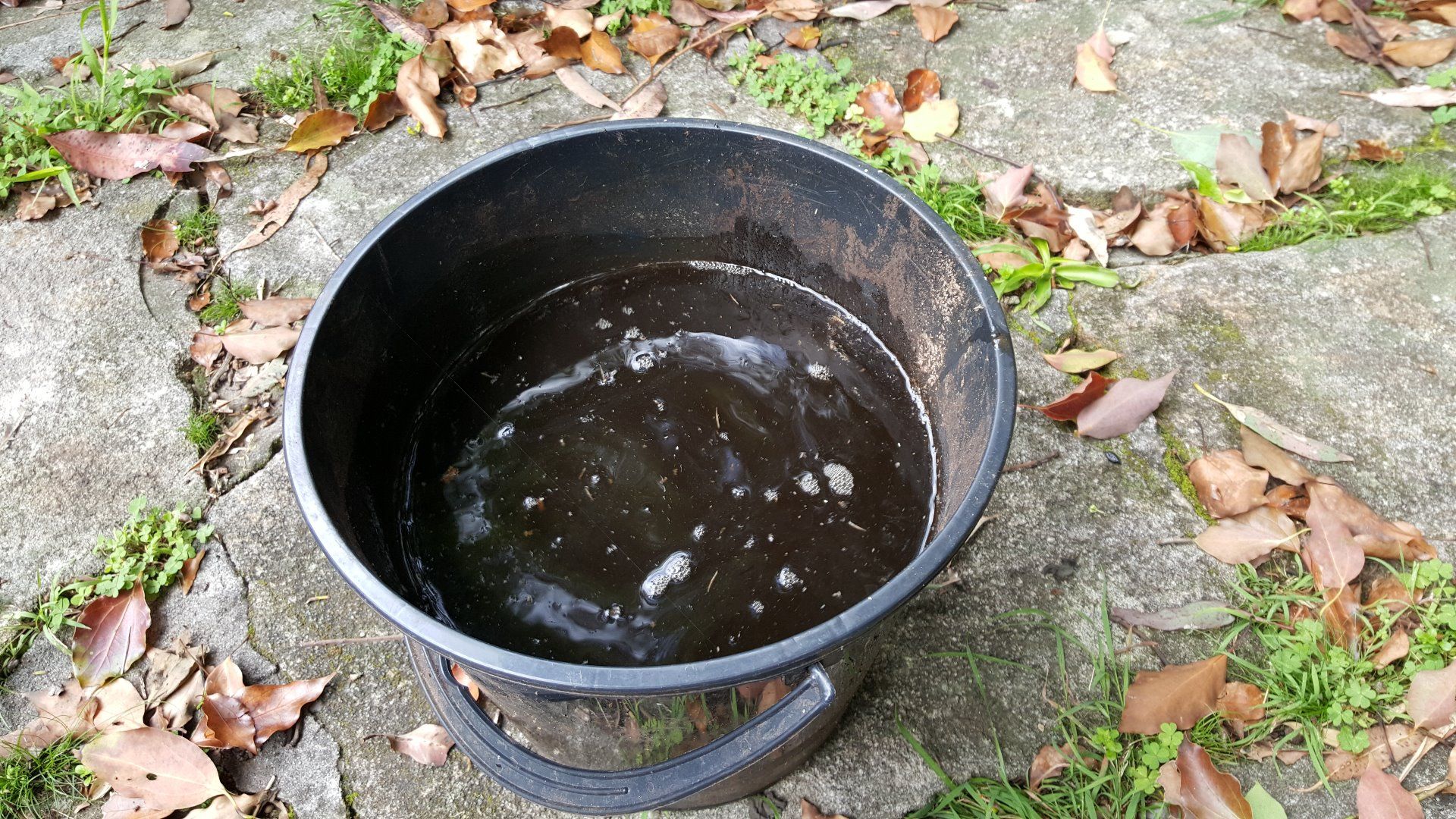 How to Turn Kitchen Scraps Into Fresh Food With Vermiponics : 5 Steps ...