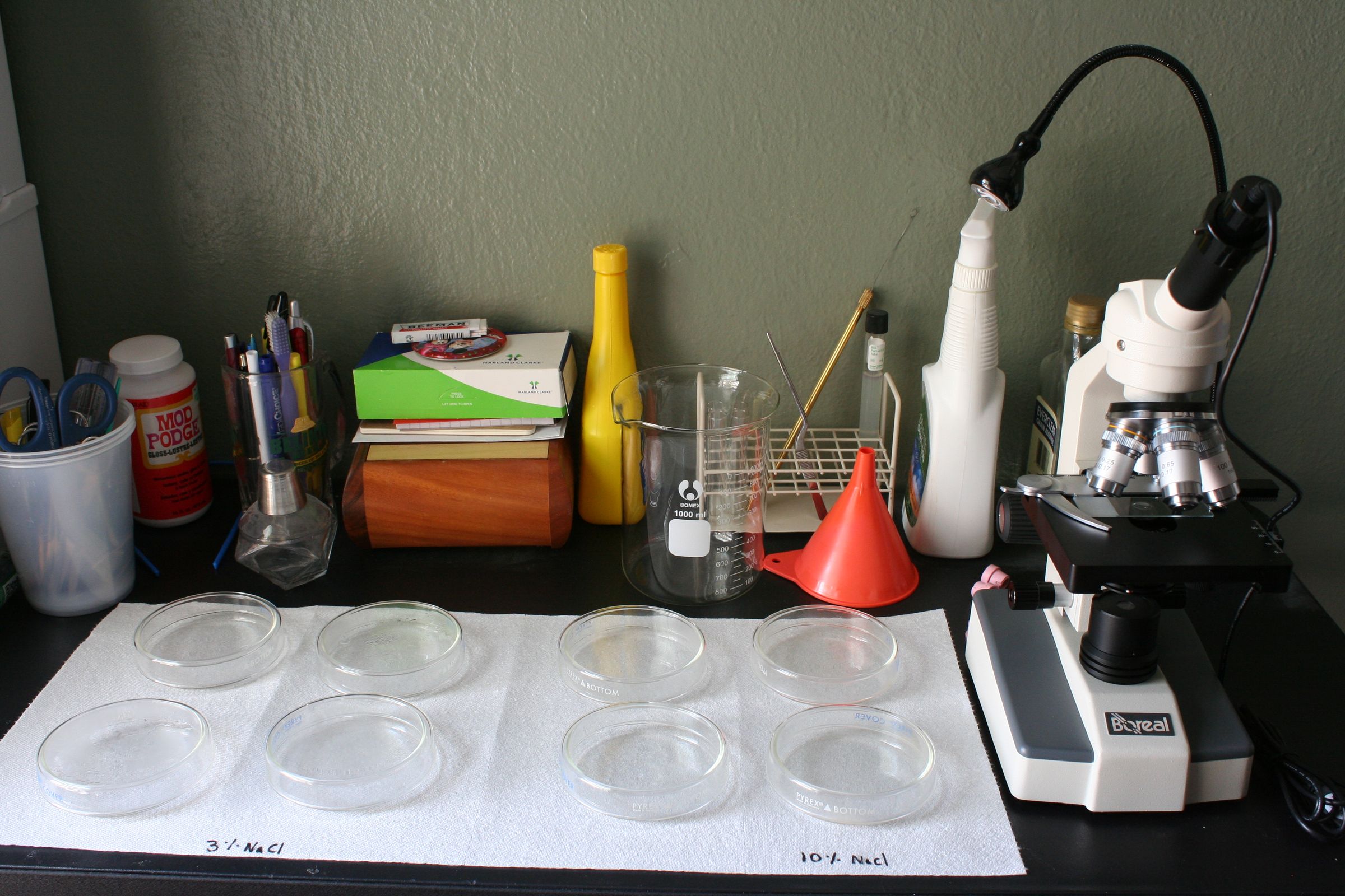 Bioluminescent Bacterial Lightbulb / Water Pollution Tester : 11 Steps ...