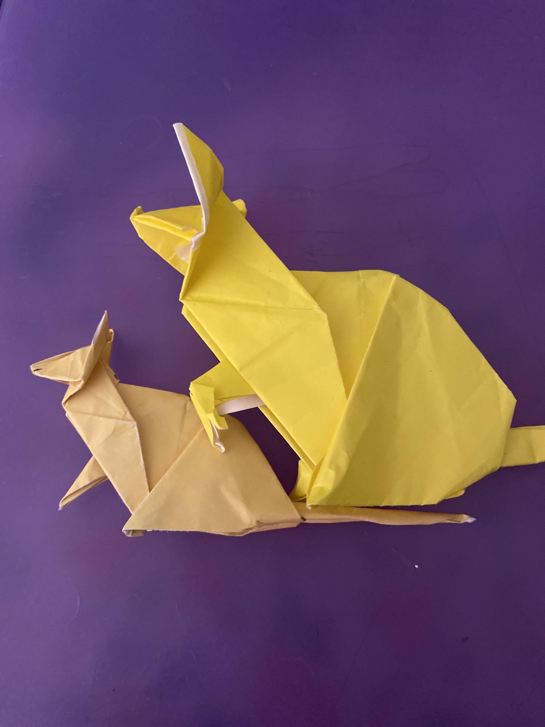 Origami Rat : 27 Steps - Instructables