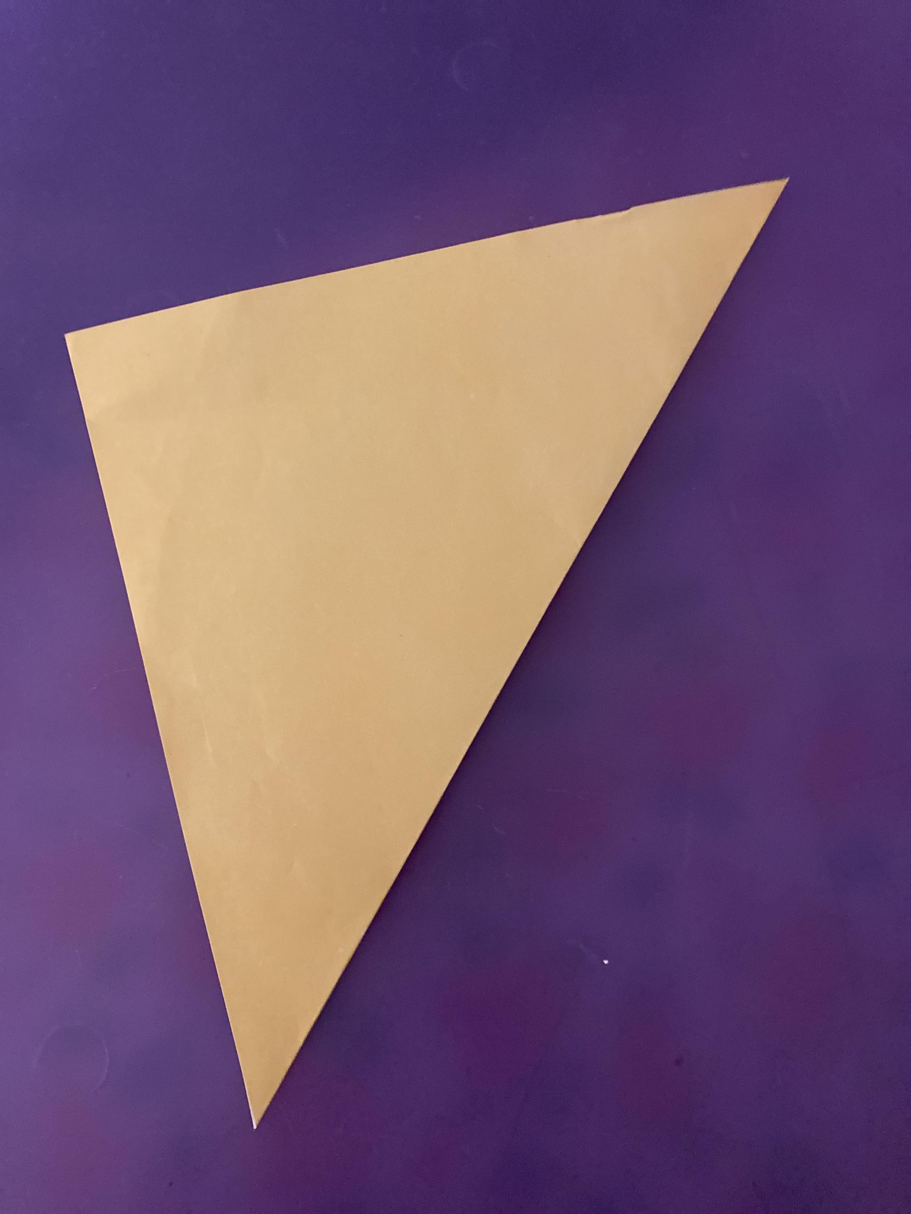 Origami Rat : 27 Steps - Instructables