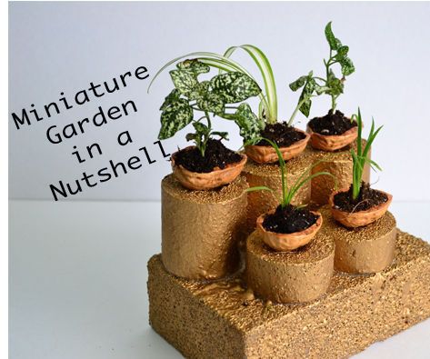 Miniature Garden in Nutshell : 3 Steps (with Pictures) - Instructables