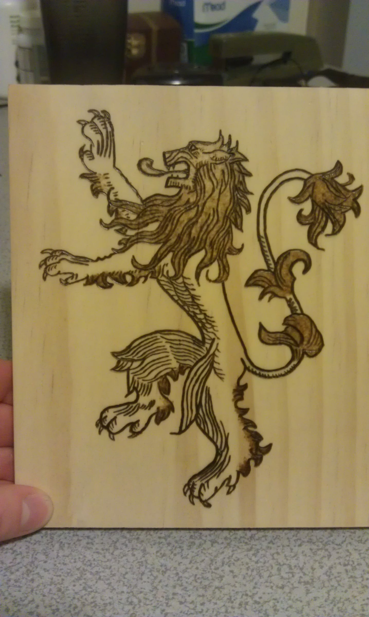 Pyrography, or How to Wood-Burn Art : 11 Steps (with Pictures ...