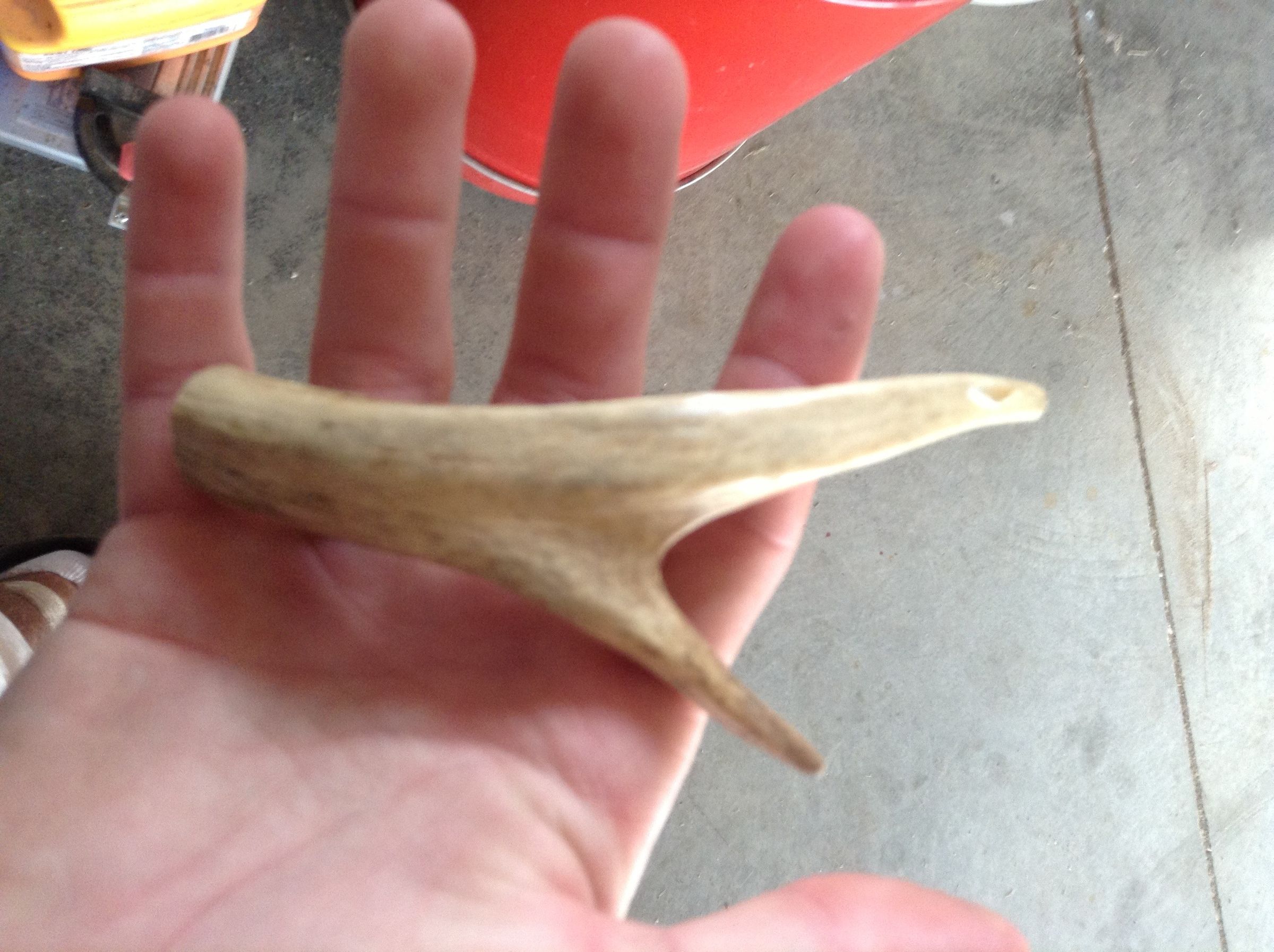 Deer Antler Back Scratcher : 7 Steps - Instructables