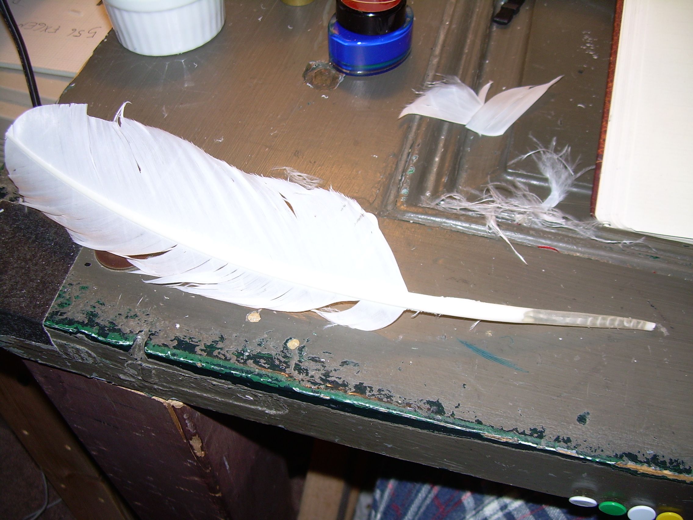 Make a Real Feather Writing Quill : 4 Steps (with Pictures) - Instructables