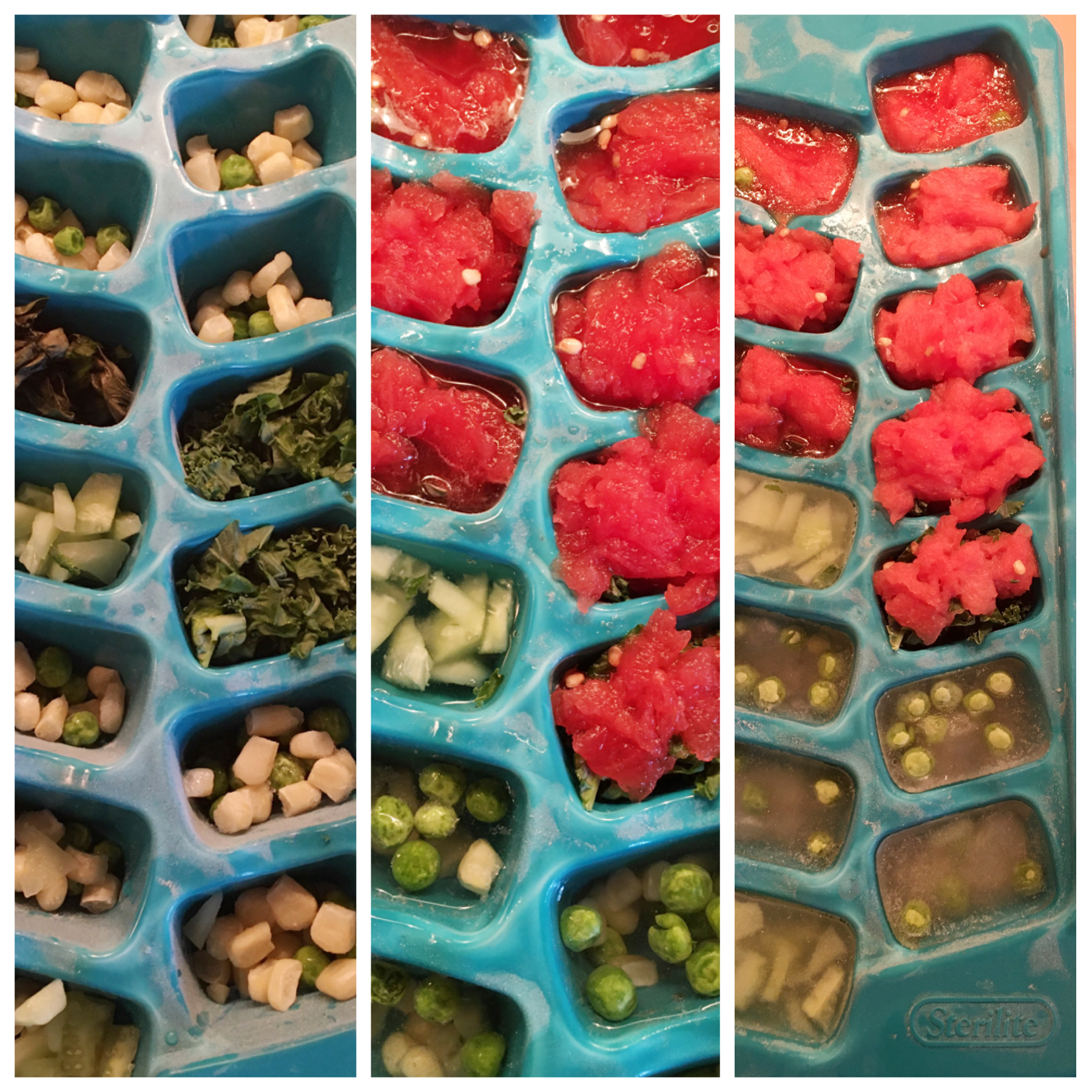 Frozen Treats for Backyard Chickens : 3 Steps (with Pictures ...