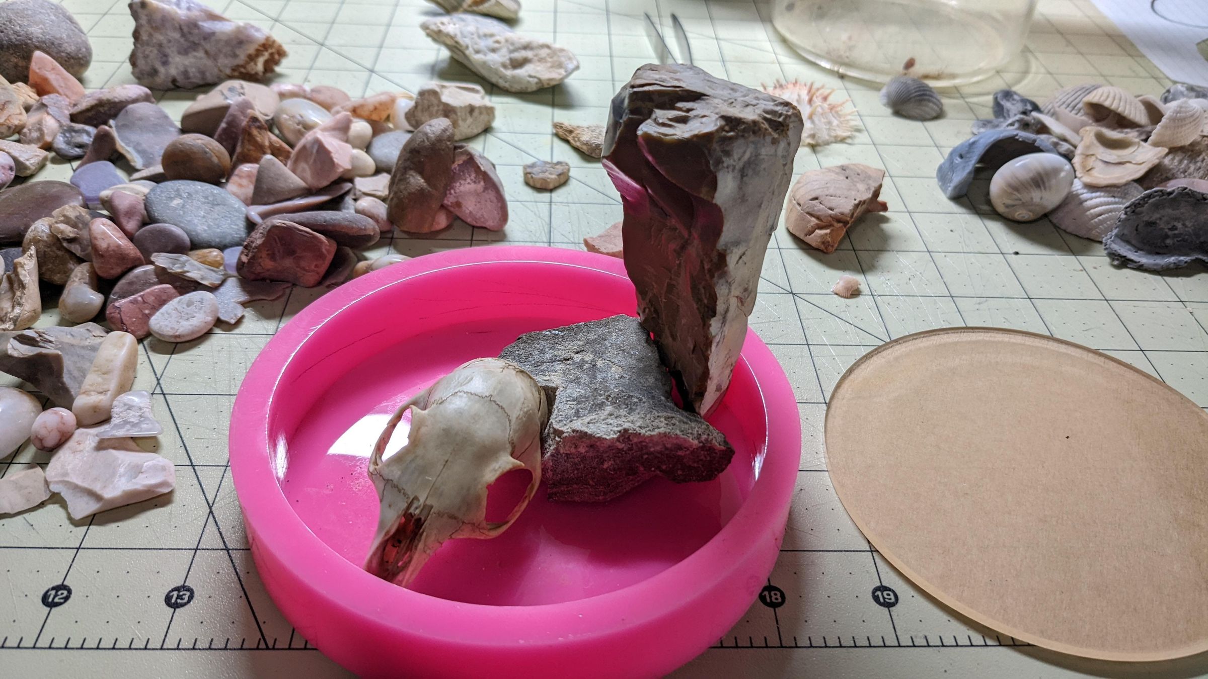 Bone Diorama : 19 Steps (with Pictures) - Instructables