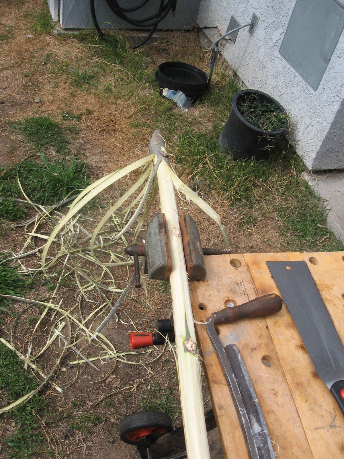 Making a Willow Bow - Instructables
