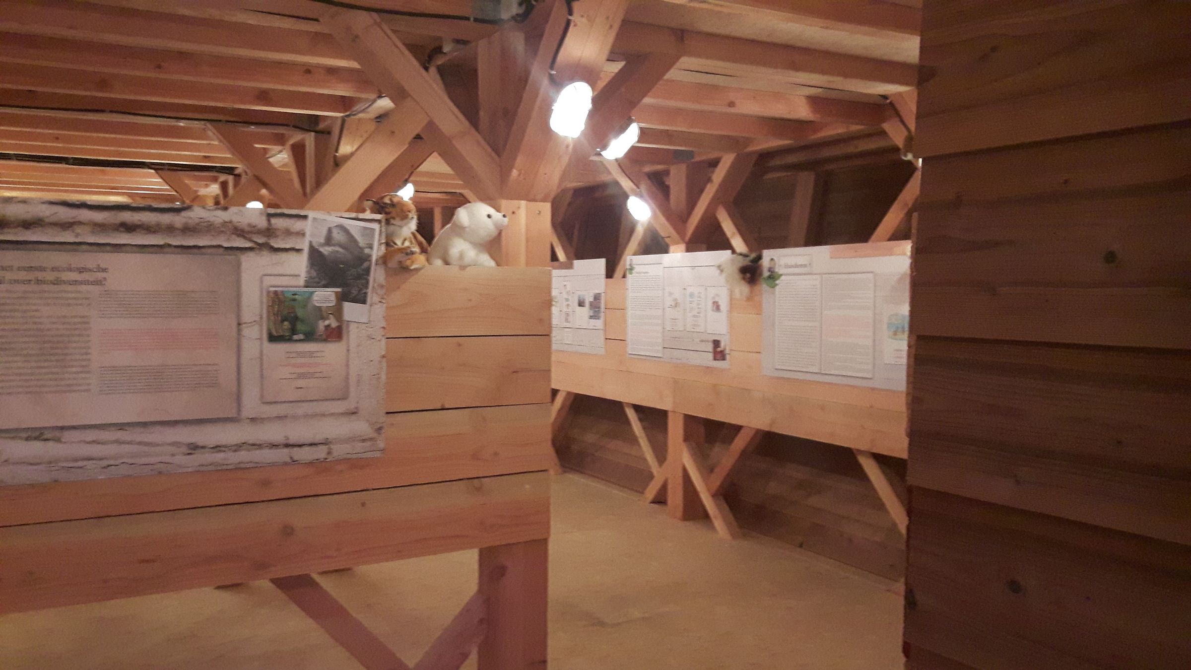 Life-size Wooden Ark : 14 Steps (with Pictures) - Instructables