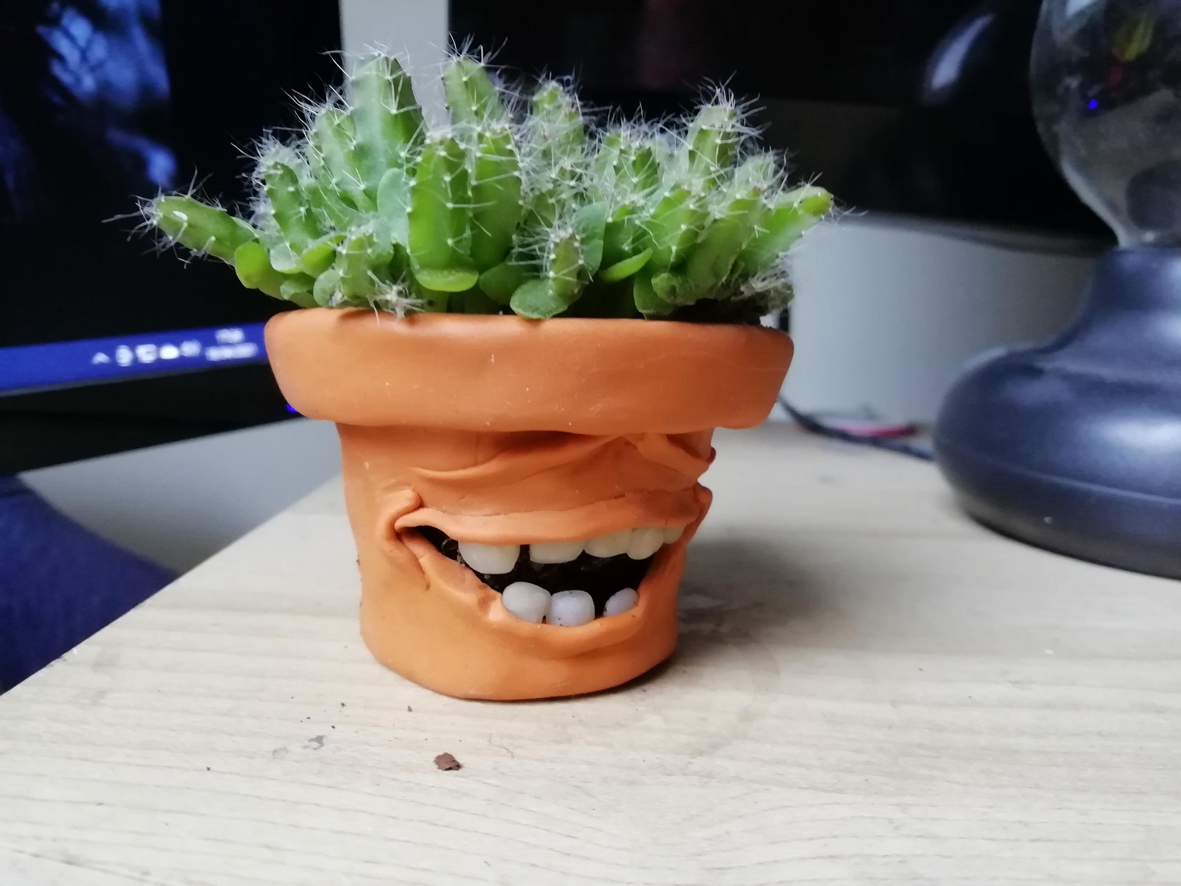 Happy Plant Pots : 4 Steps (with Pictures) - Instructables