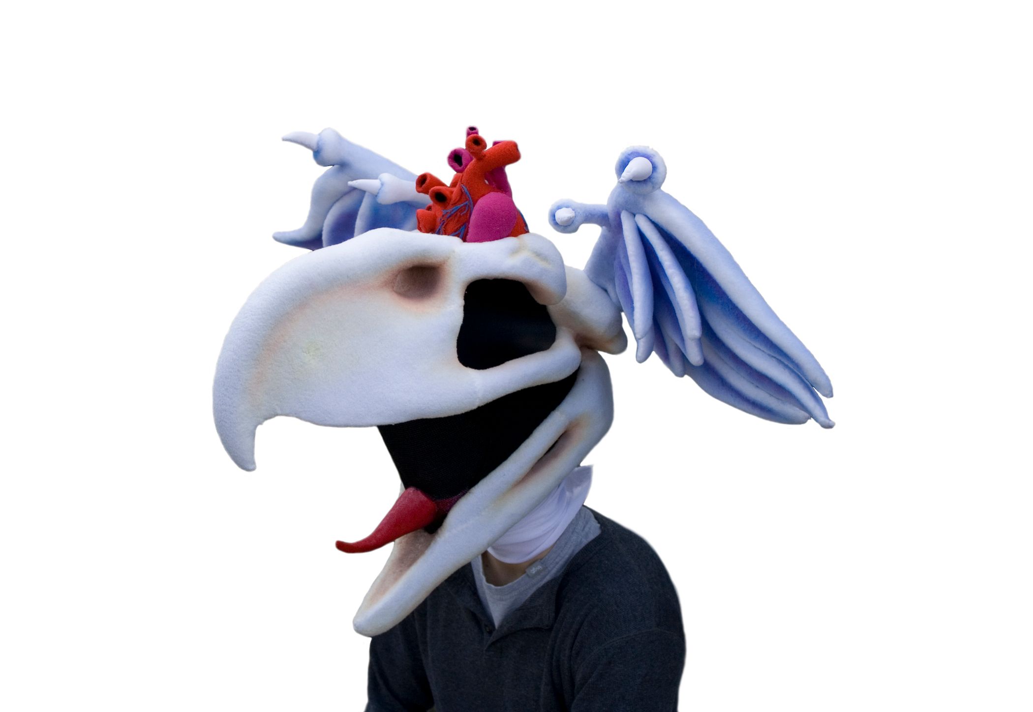 Terror Bird Mask (with Pictures) - Instructables