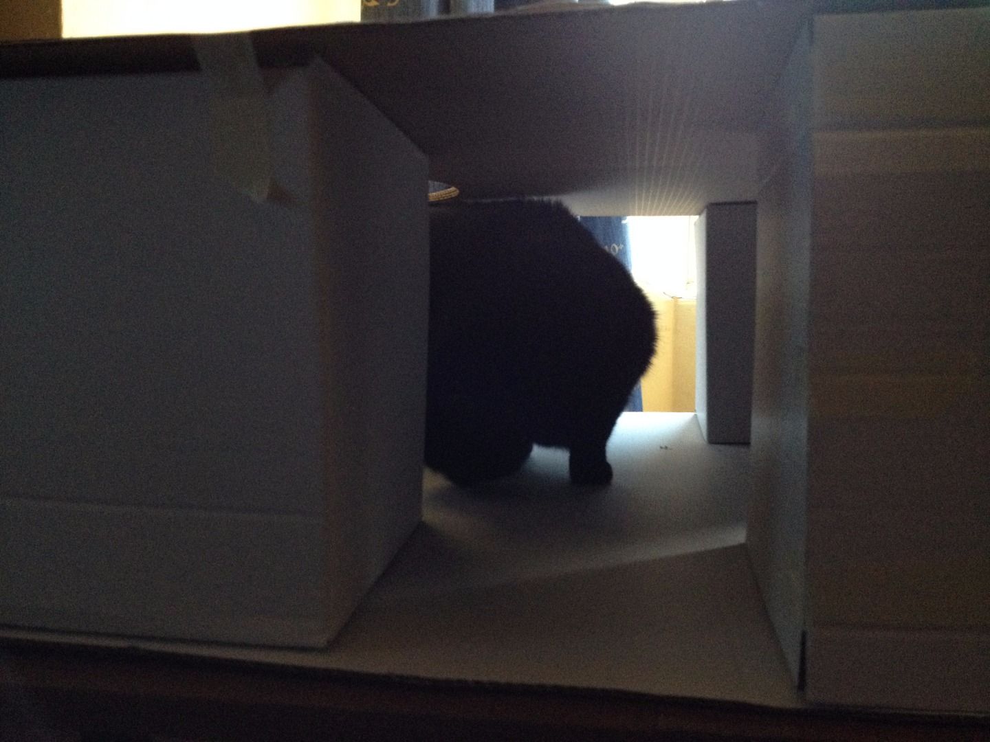 Cheap and Cheerful "CaTable" : 6 Steps (with Pictures) - Instructables