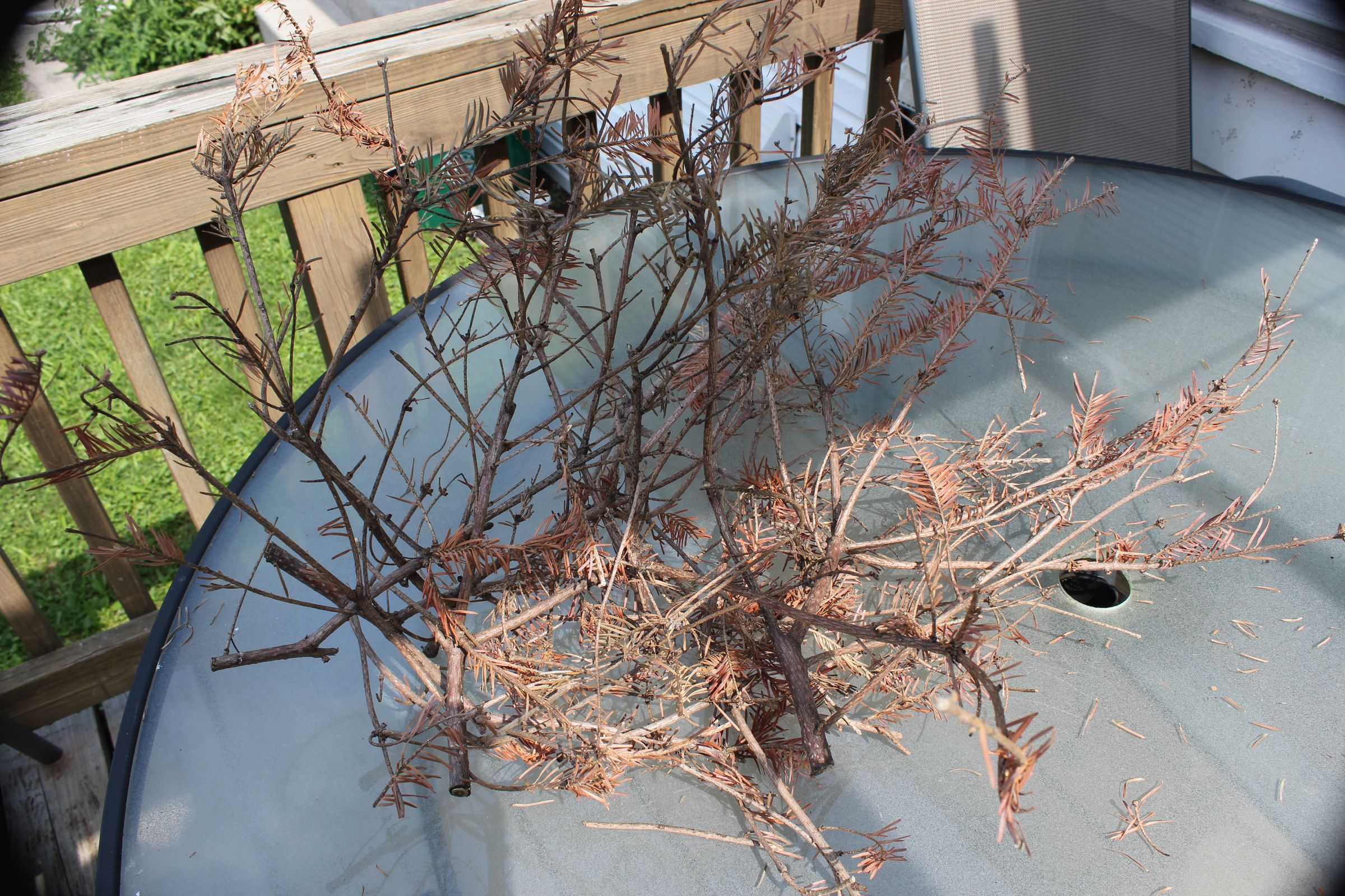 Alternative Mixed Media Sun Dried Paper Briquettes : 11 Steps (with ...