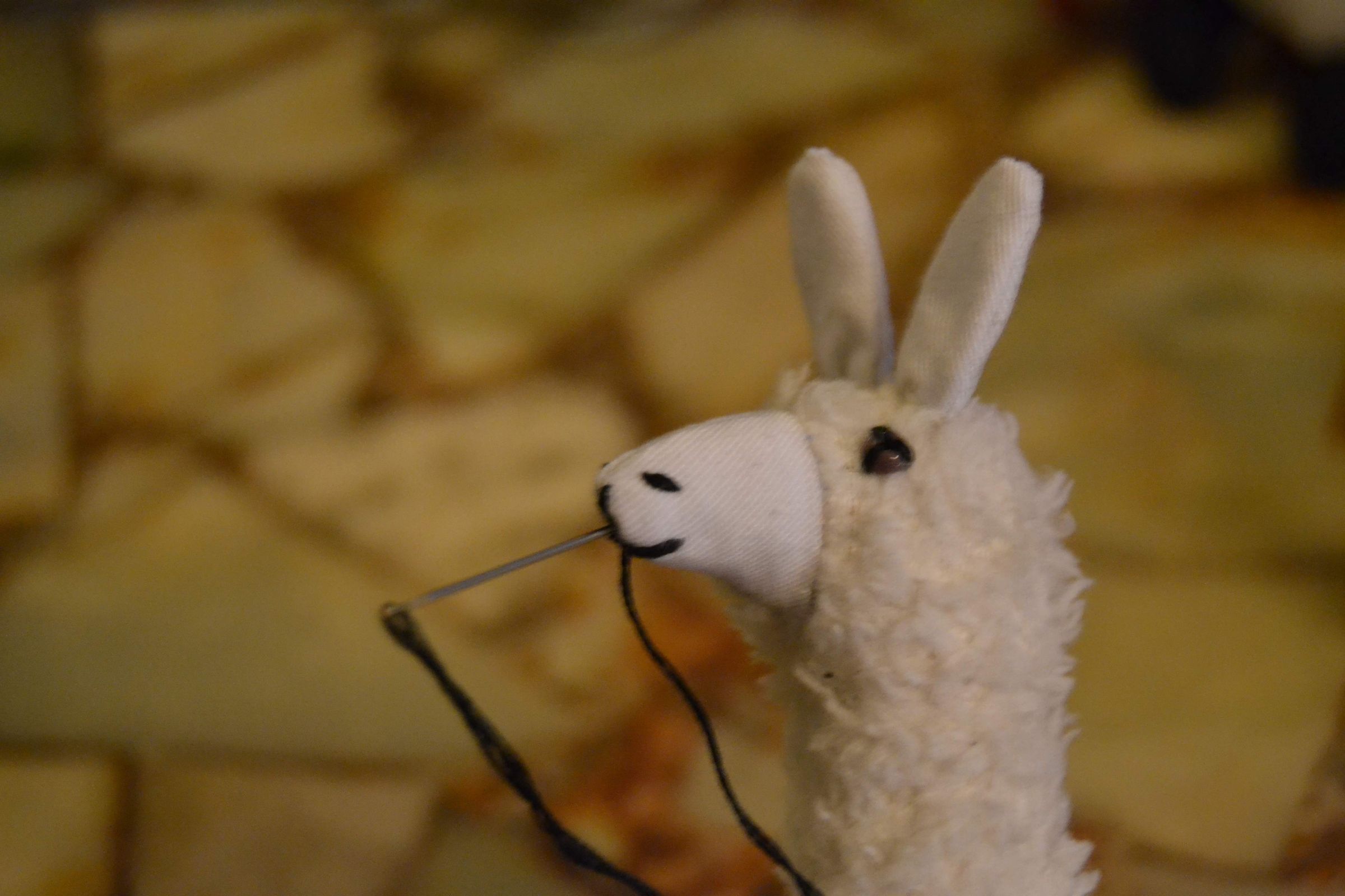 A Little Zoo for Kids : 10 Steps (with Pictures) - Instructables