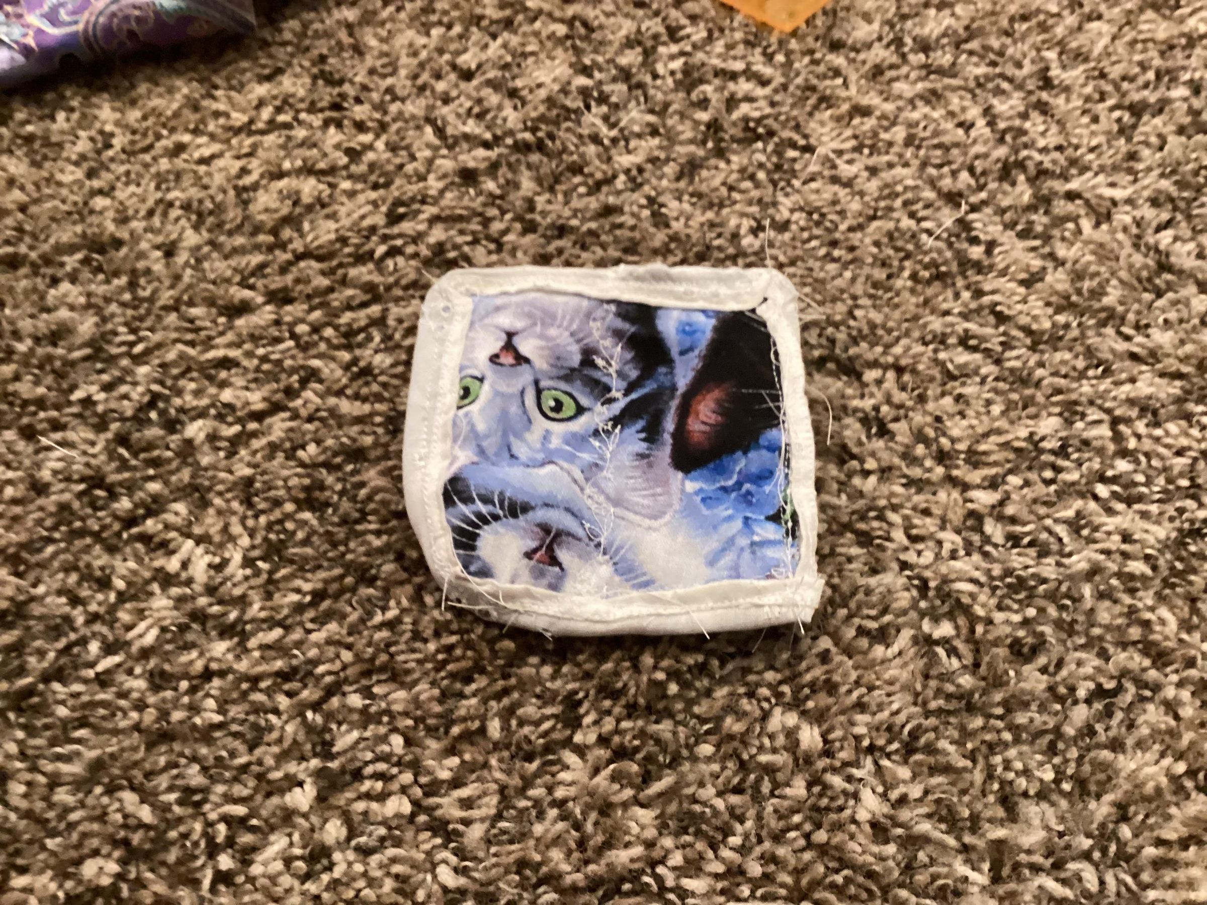 Coaster Sewing Project- NO PATTERN NEEDED : 5 Steps - Instructables