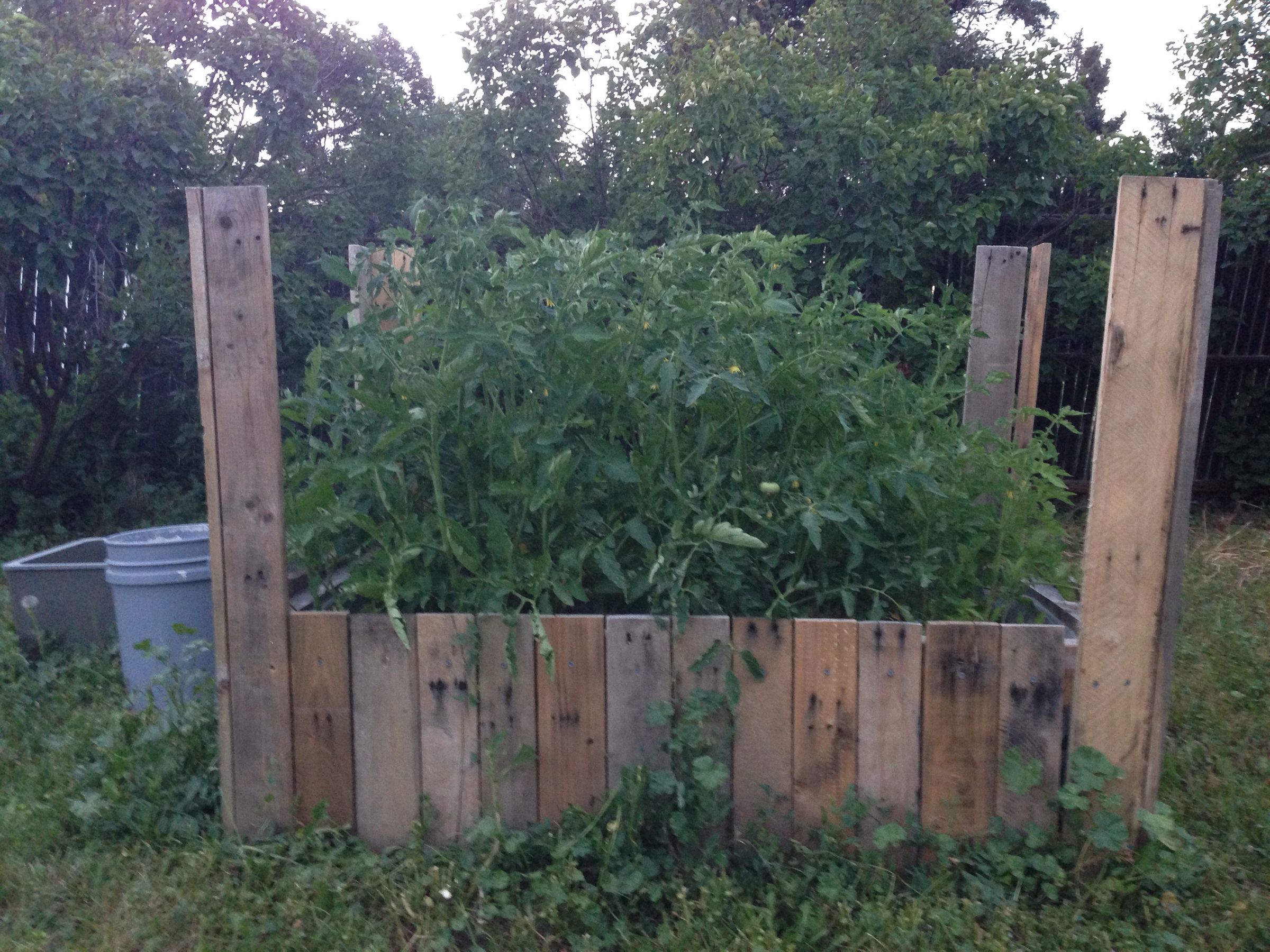Raised Bed Pallet Planter *Updated August 21st, 2015* : 9 Steps (with ...