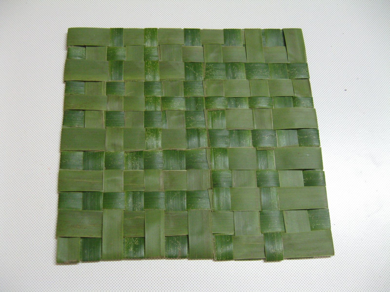 Beginners Weaving Palm Leaves