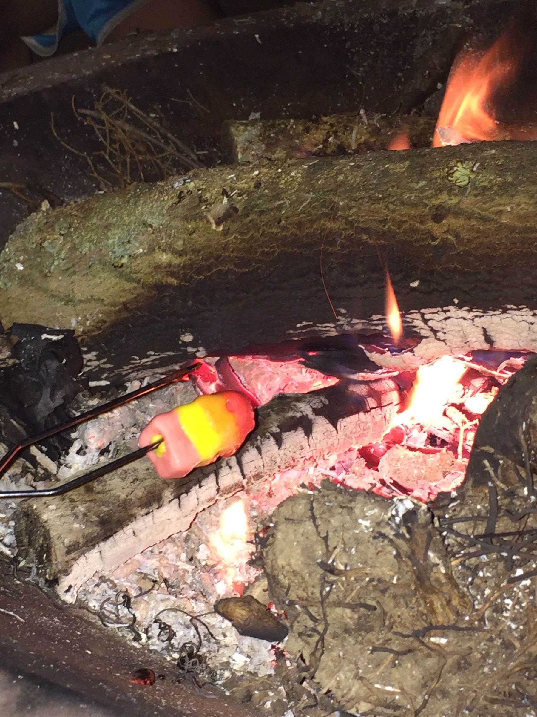 Campfire Roasted Starbursts : 4 Steps - Instructables