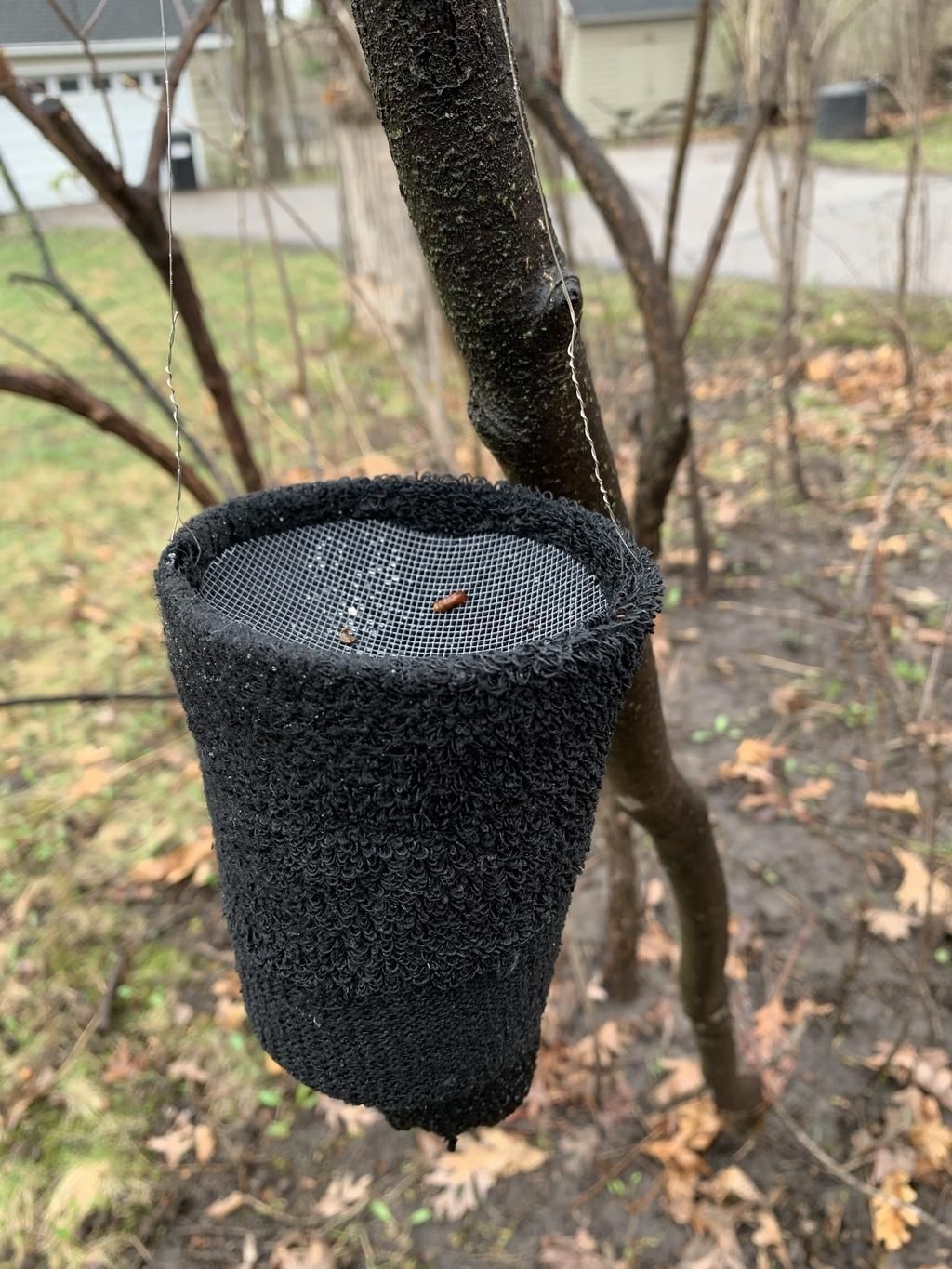 Mosquito Killing Ovitrap : 11 Steps (with Pictures) - Instructables