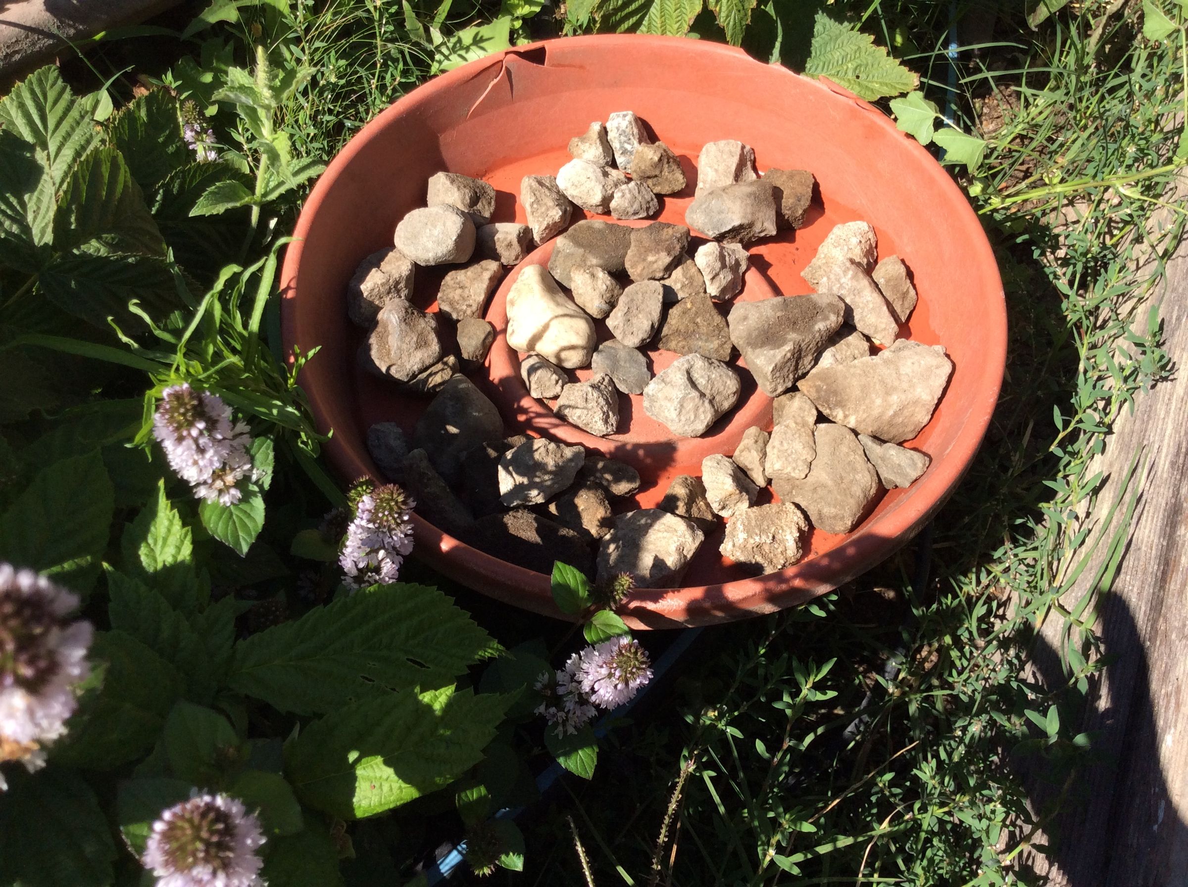 Make Your Own Bee Bath : 3 Steps - Instructables