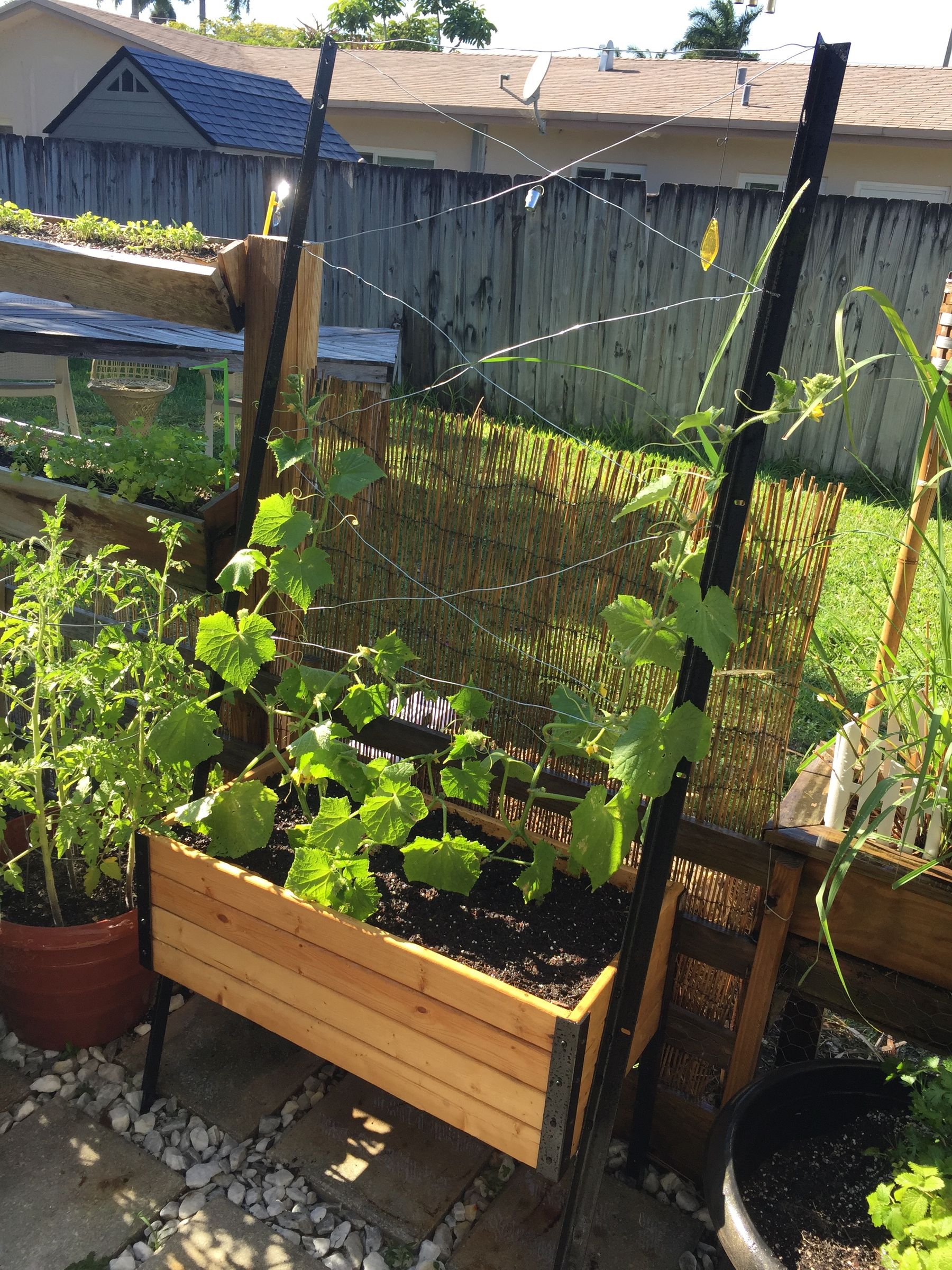 My $10 Reclaimed Climbing Vine Planter Box! : 3 Steps (with Pictures ...