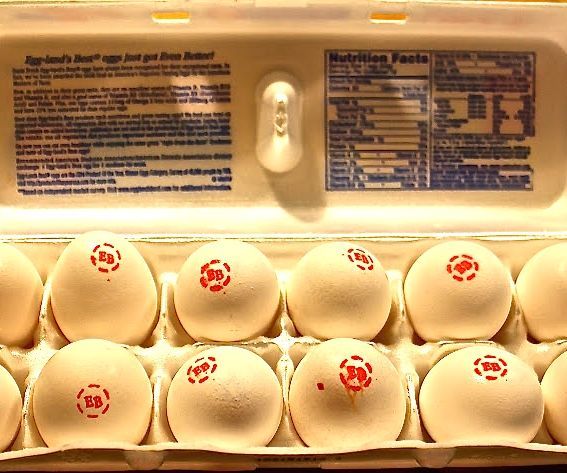 Egg Freshness Test 101 : 4 Steps (with Pictures) - Instructables