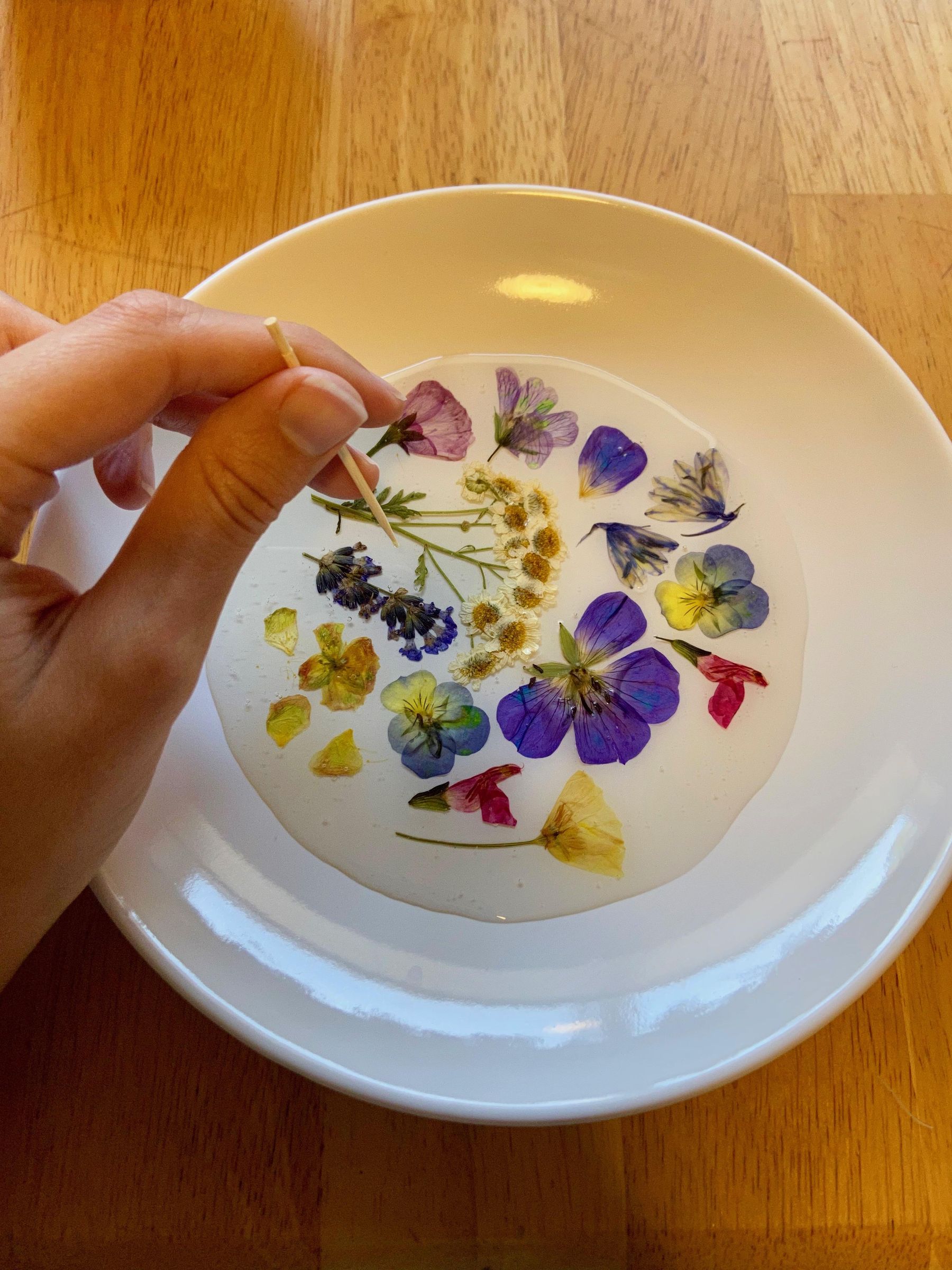 Pressed Flower Plates : 7 Steps (with Pictures) - Instructables