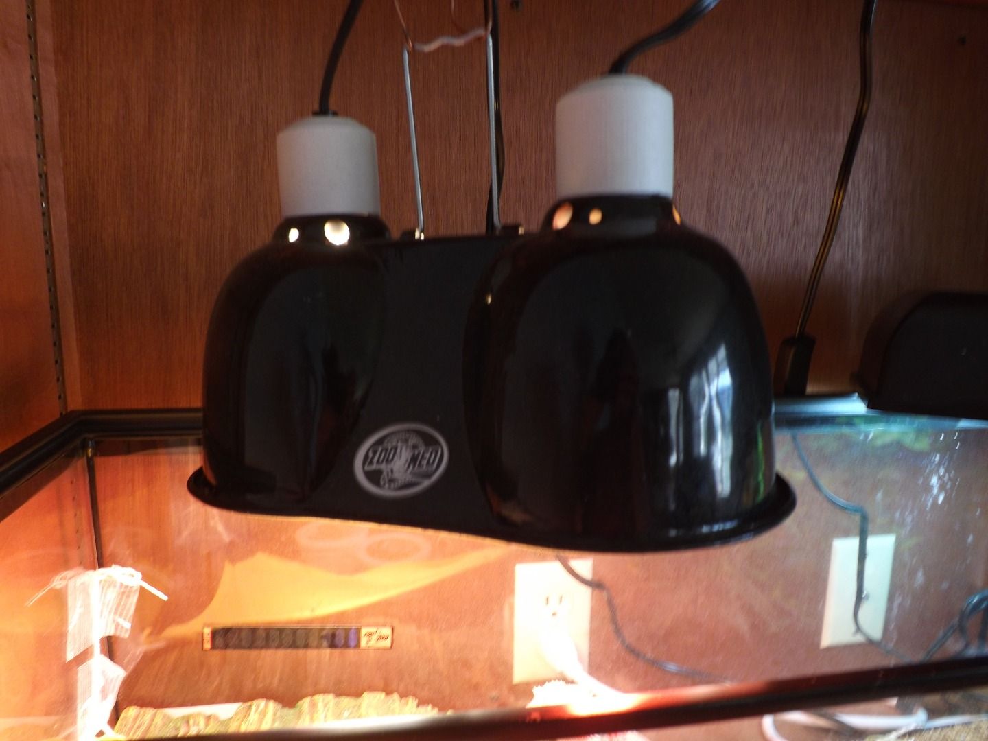 The Proper Way to Set Up a Bearded Dragon Enclosure : 5 Steps (with ...