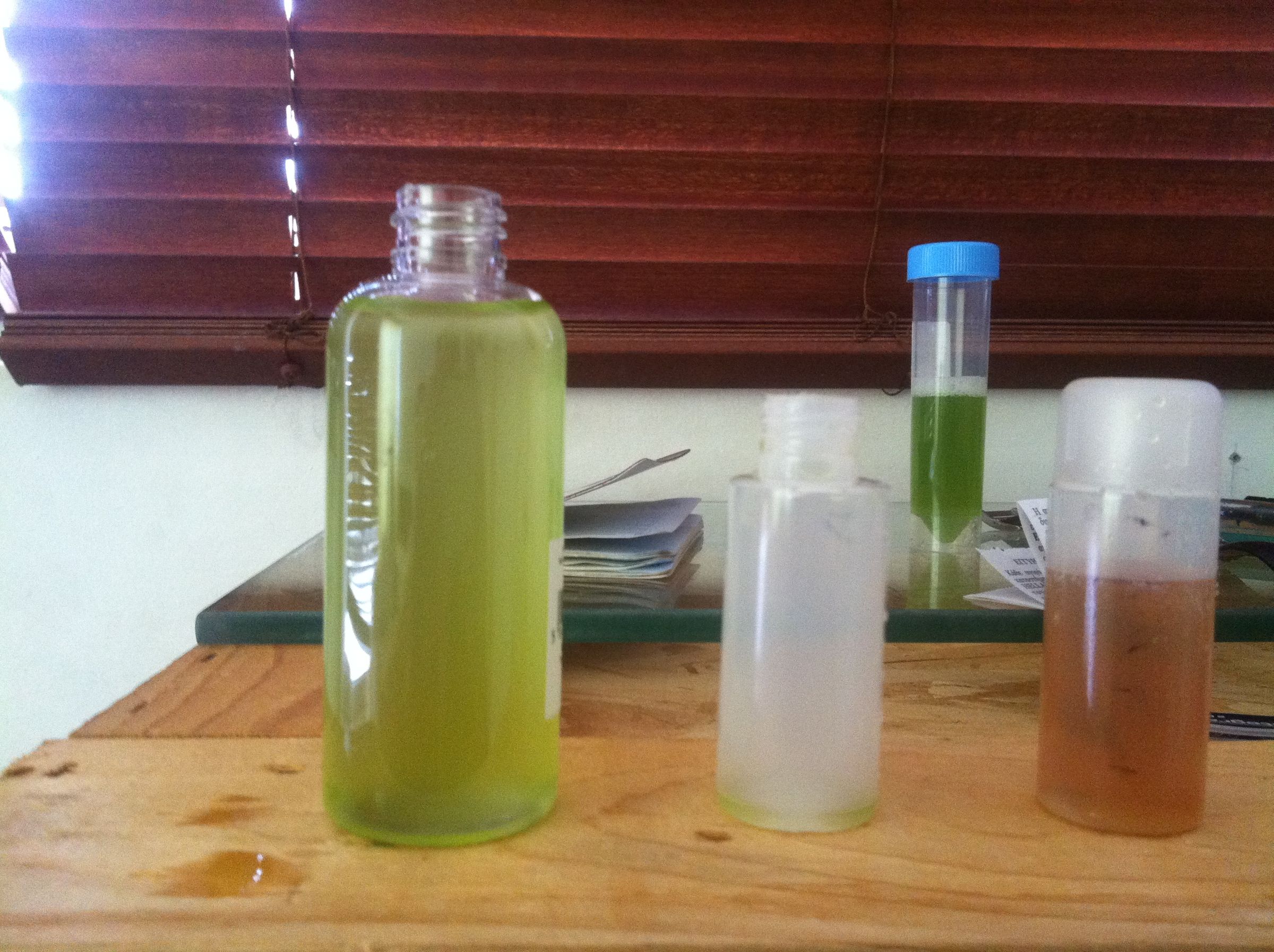 The Algae Experiment: How to Build Your Own Algae Photo-bioreactor ...