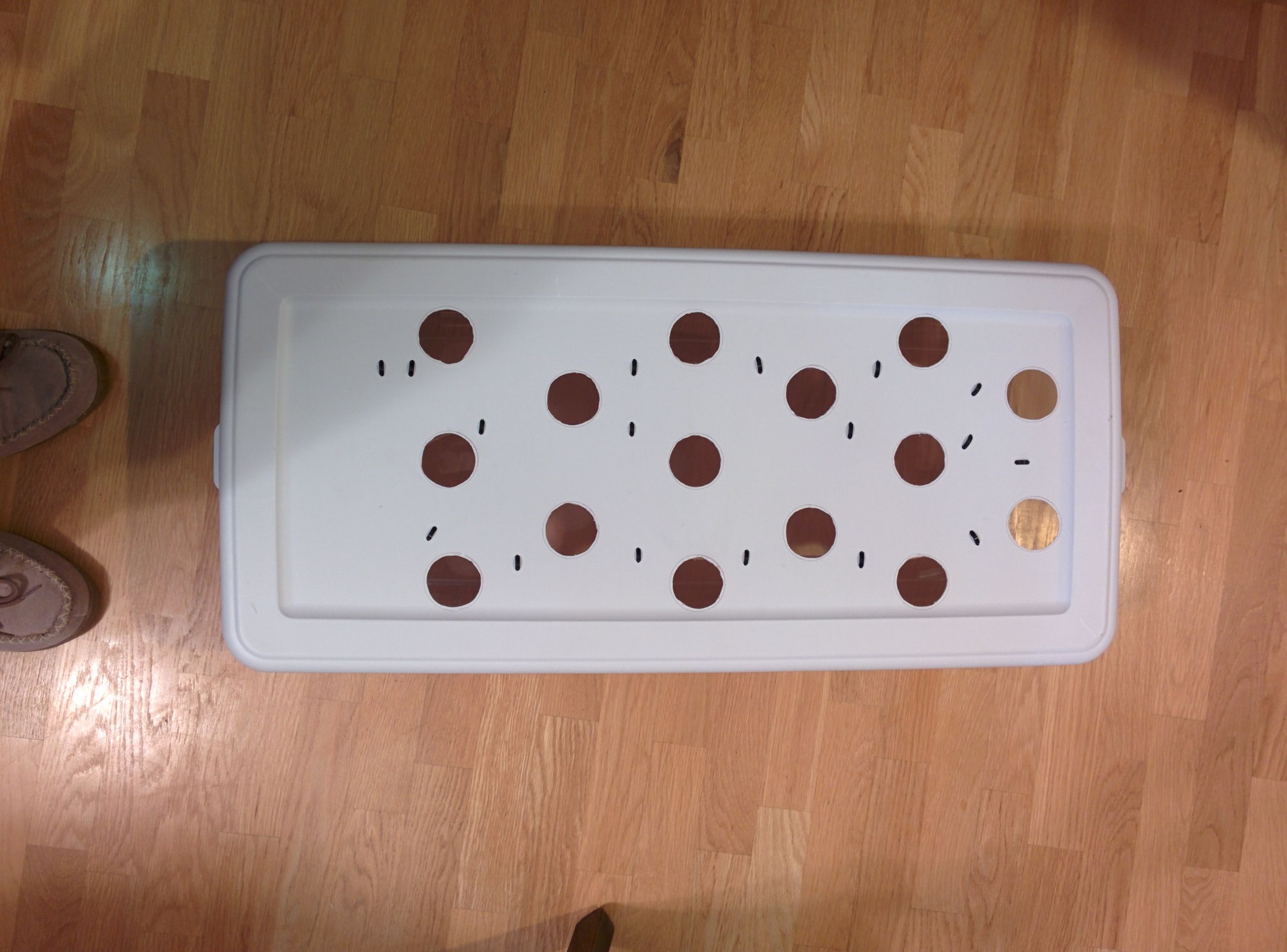 Simple Hydroponic System : 5 Steps - Instructables